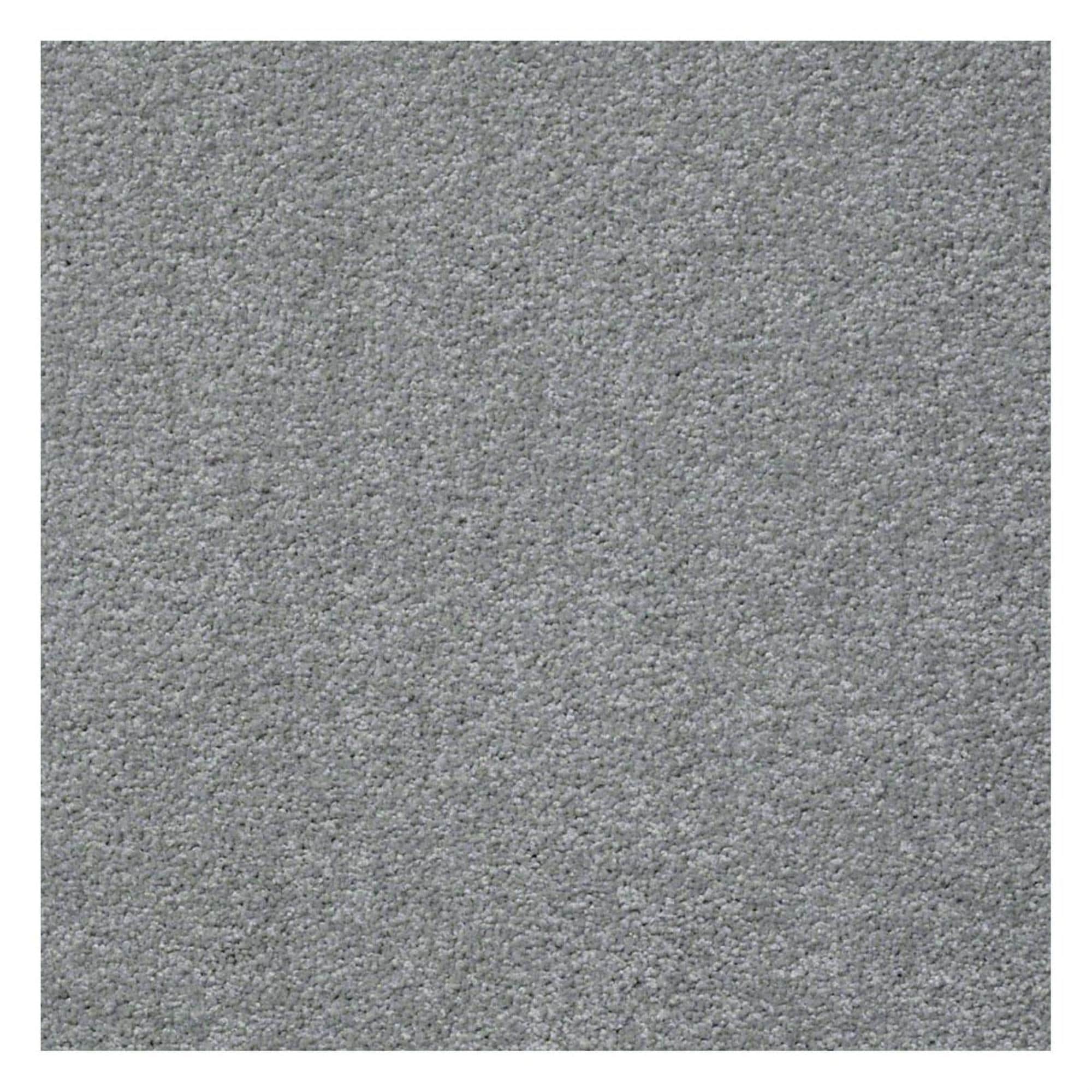 Shaw Something Sweet Carpet in Sterling