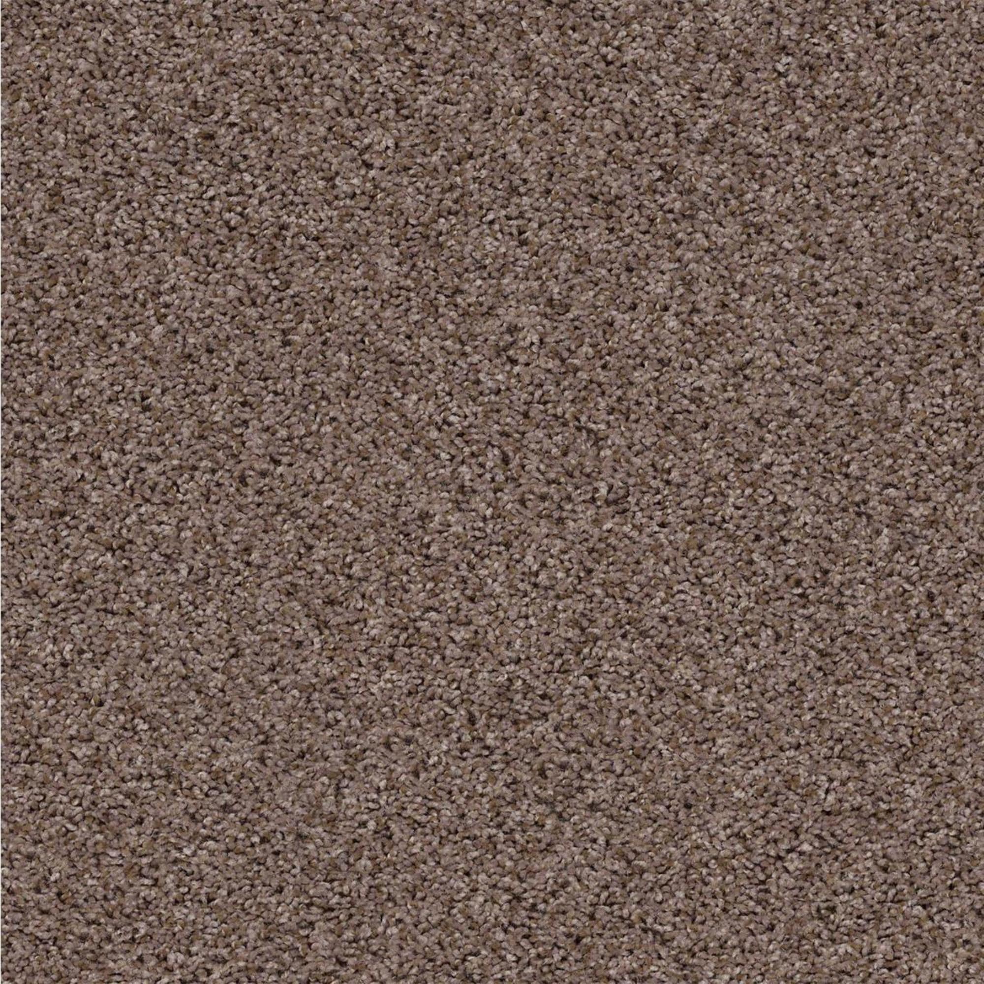 Shaw See Me Carpet in Acorn
