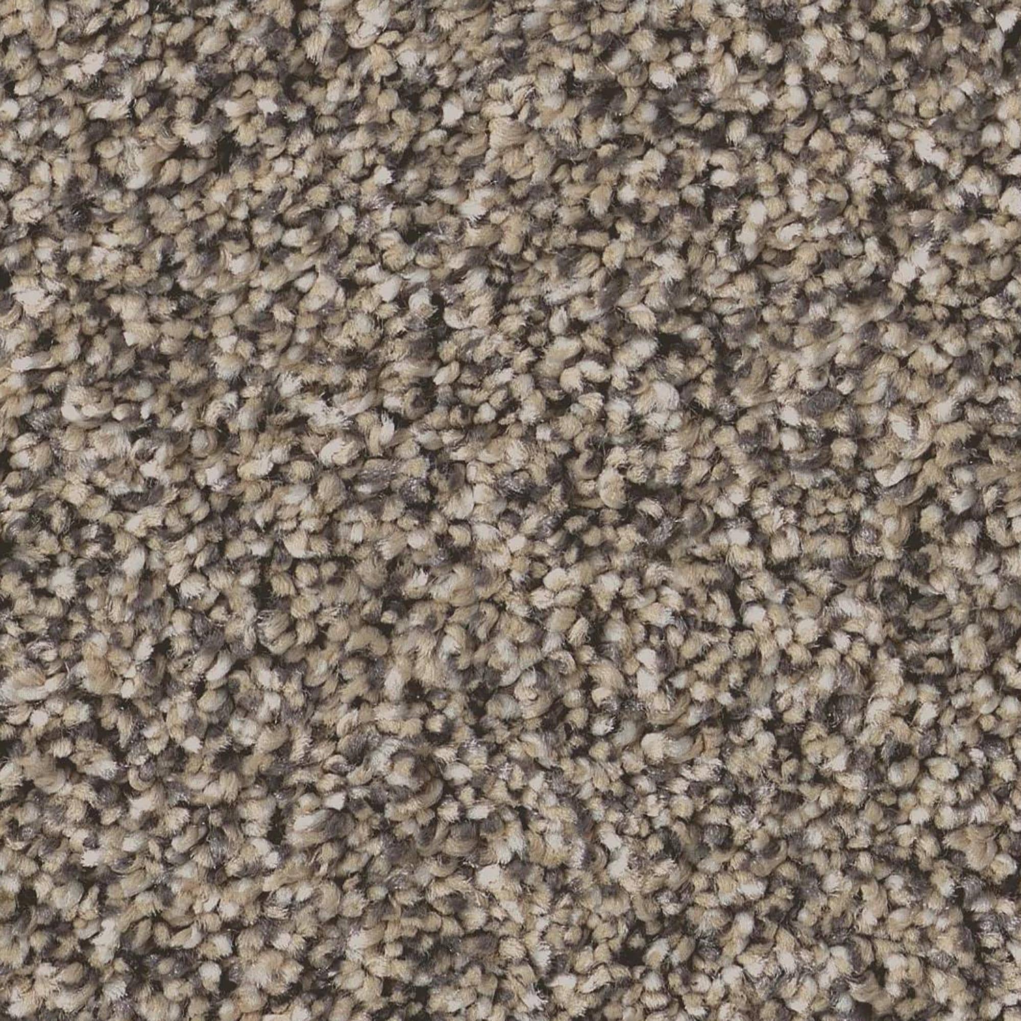 Shaw Artistic Fusion II Carpet in Sea Shell