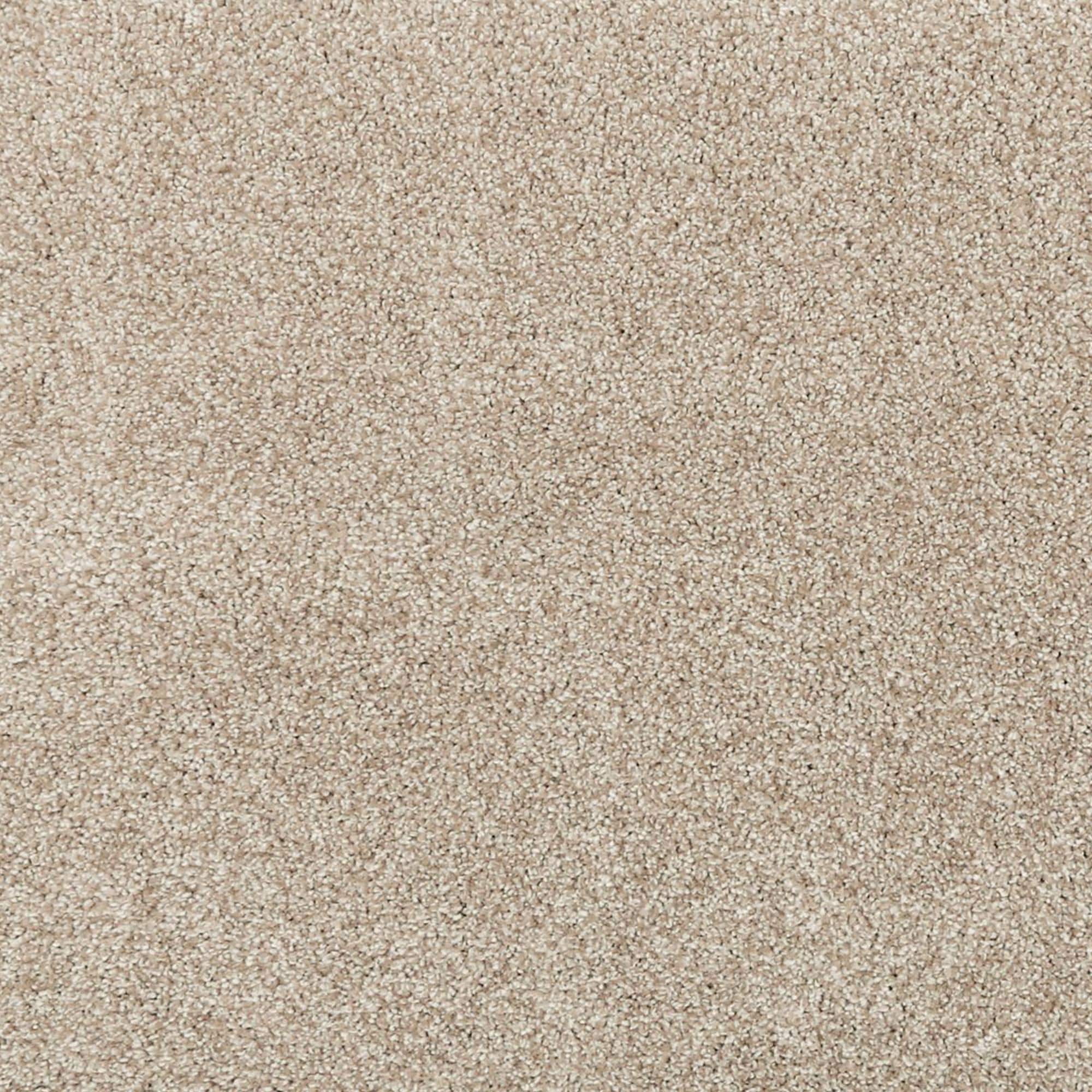 Mohawk Luxuriant Life Carpet in Chalet