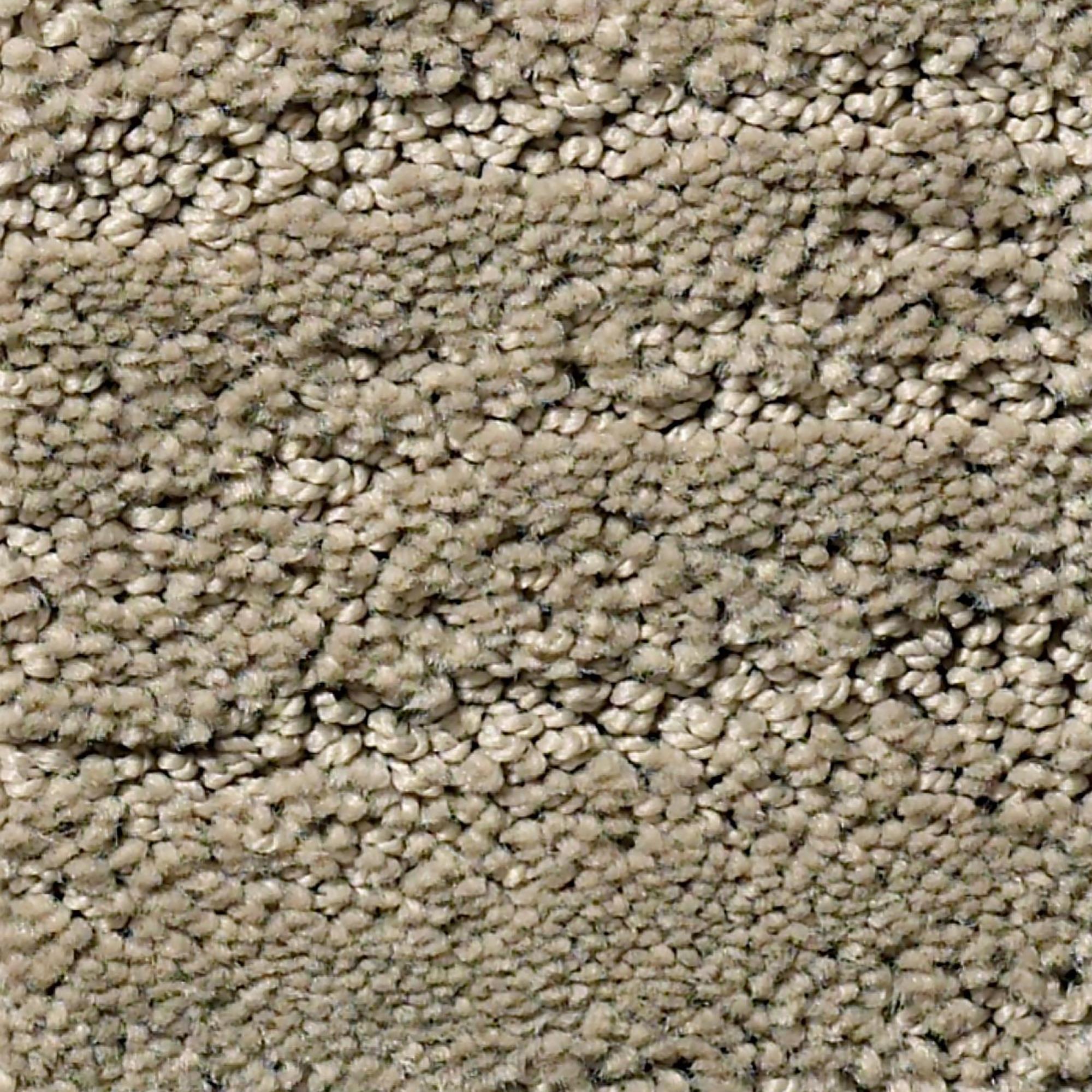 Anderson Tuftex Matisse Carpet in Reflection