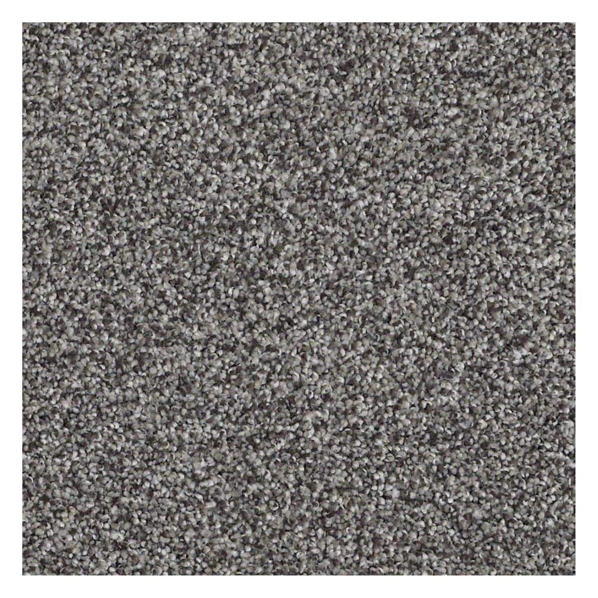 Shaw Detailed Tonal Carpet in Charcoal