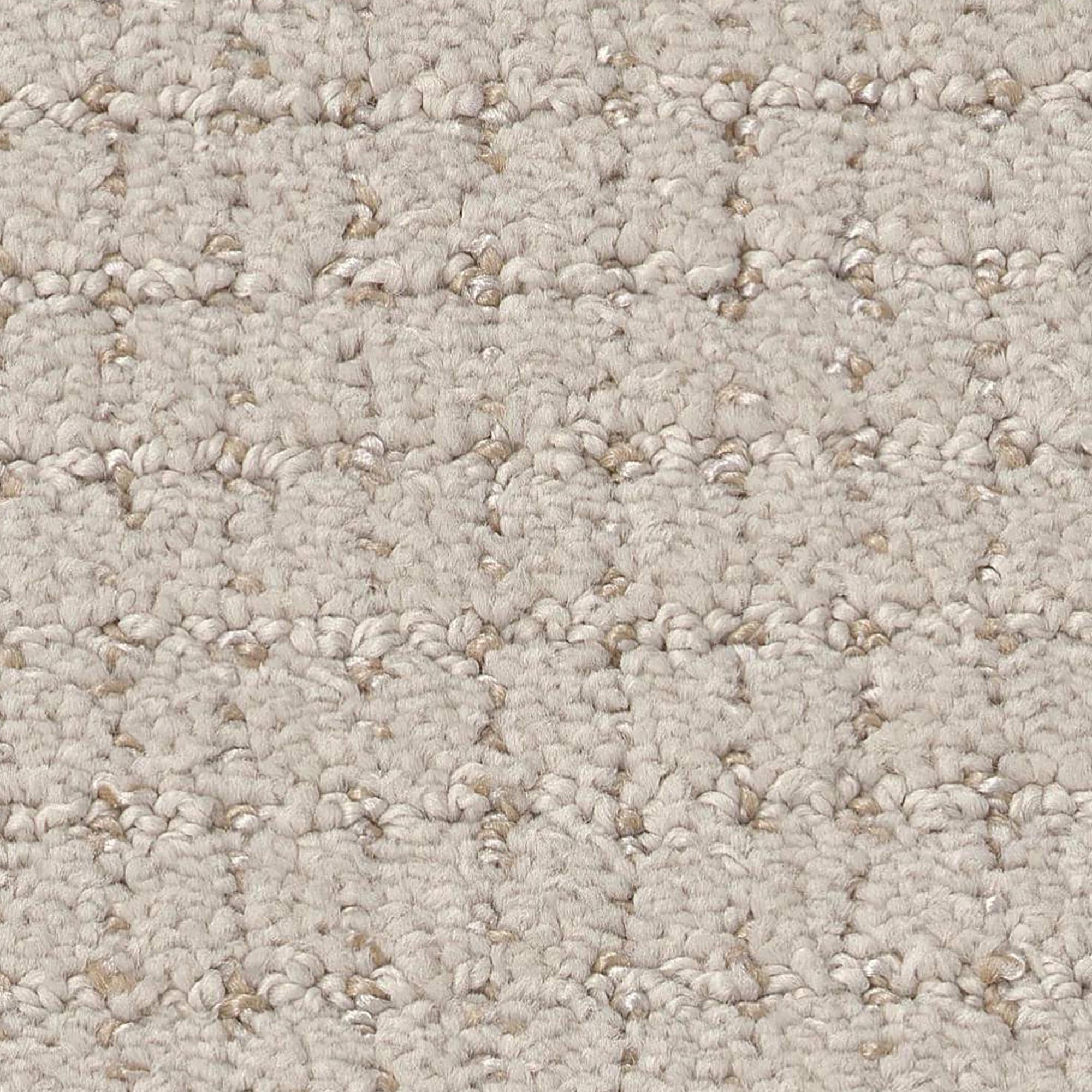 Anderson Tuftex Lyric Carpet in Balanced