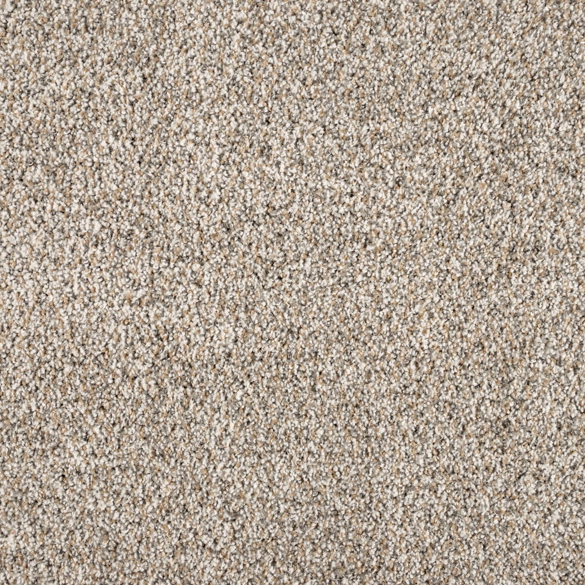Mohawk SmartStrand Silk Luxuriant Surface Carpet in Rococo