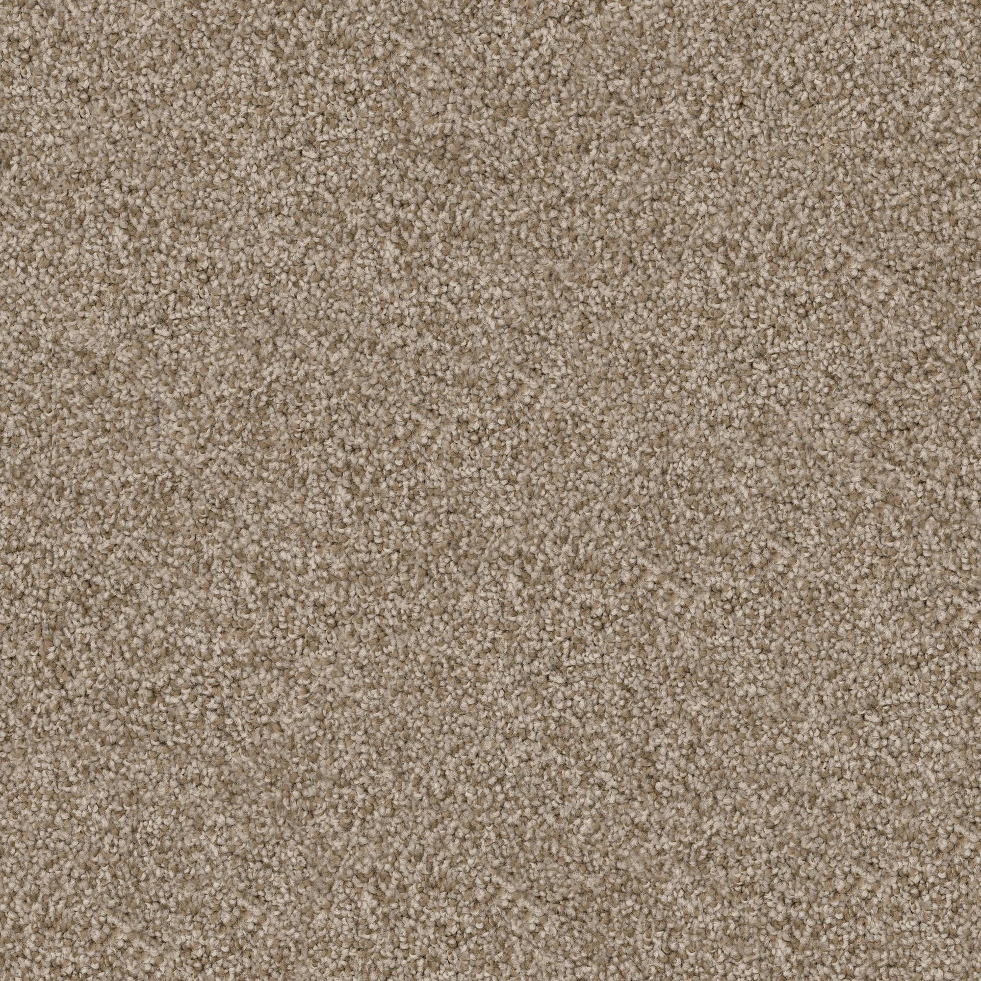 Dixie Home Trapper Carpet in Spaniel | NFM