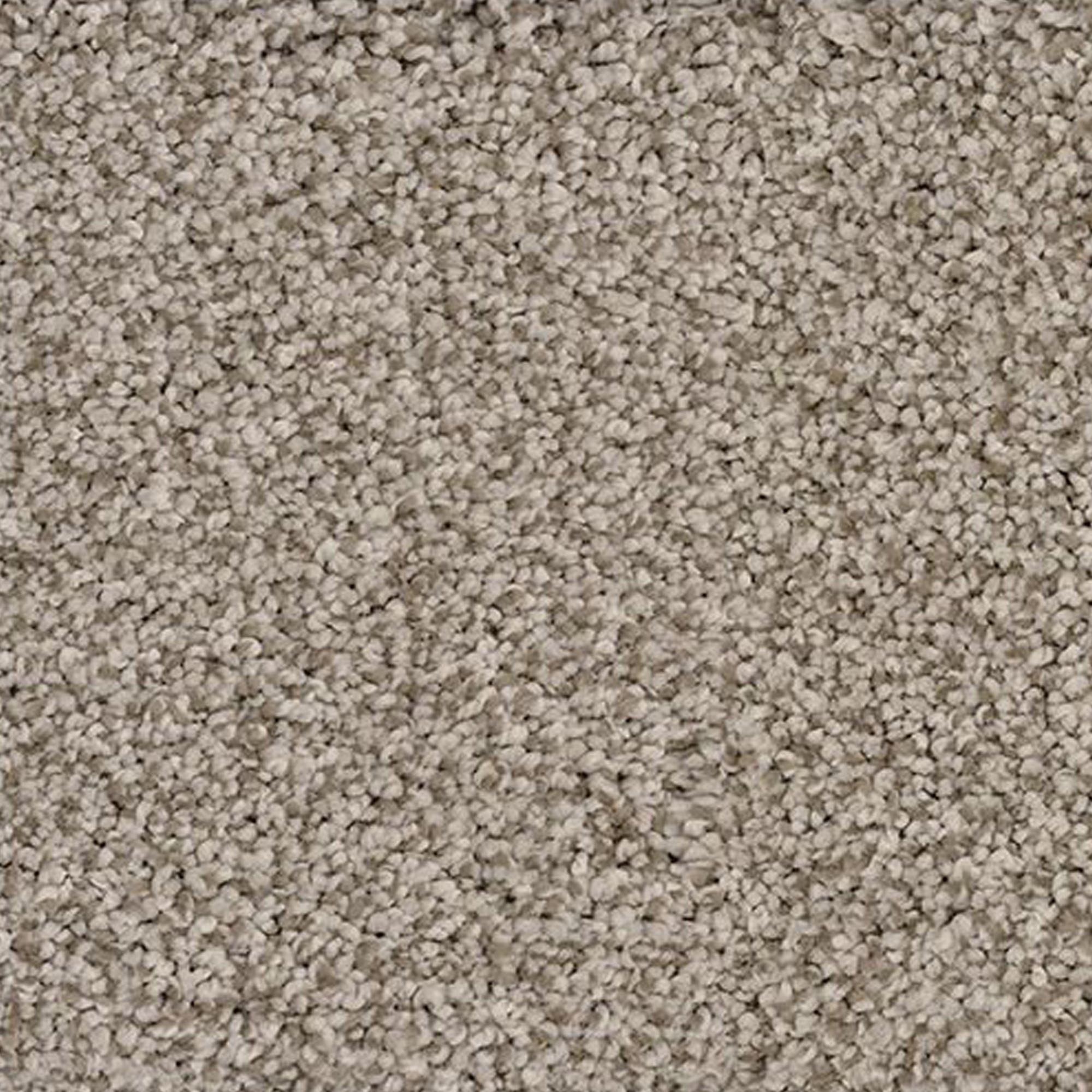 Revolution Mills Milan Carpet in Silverado