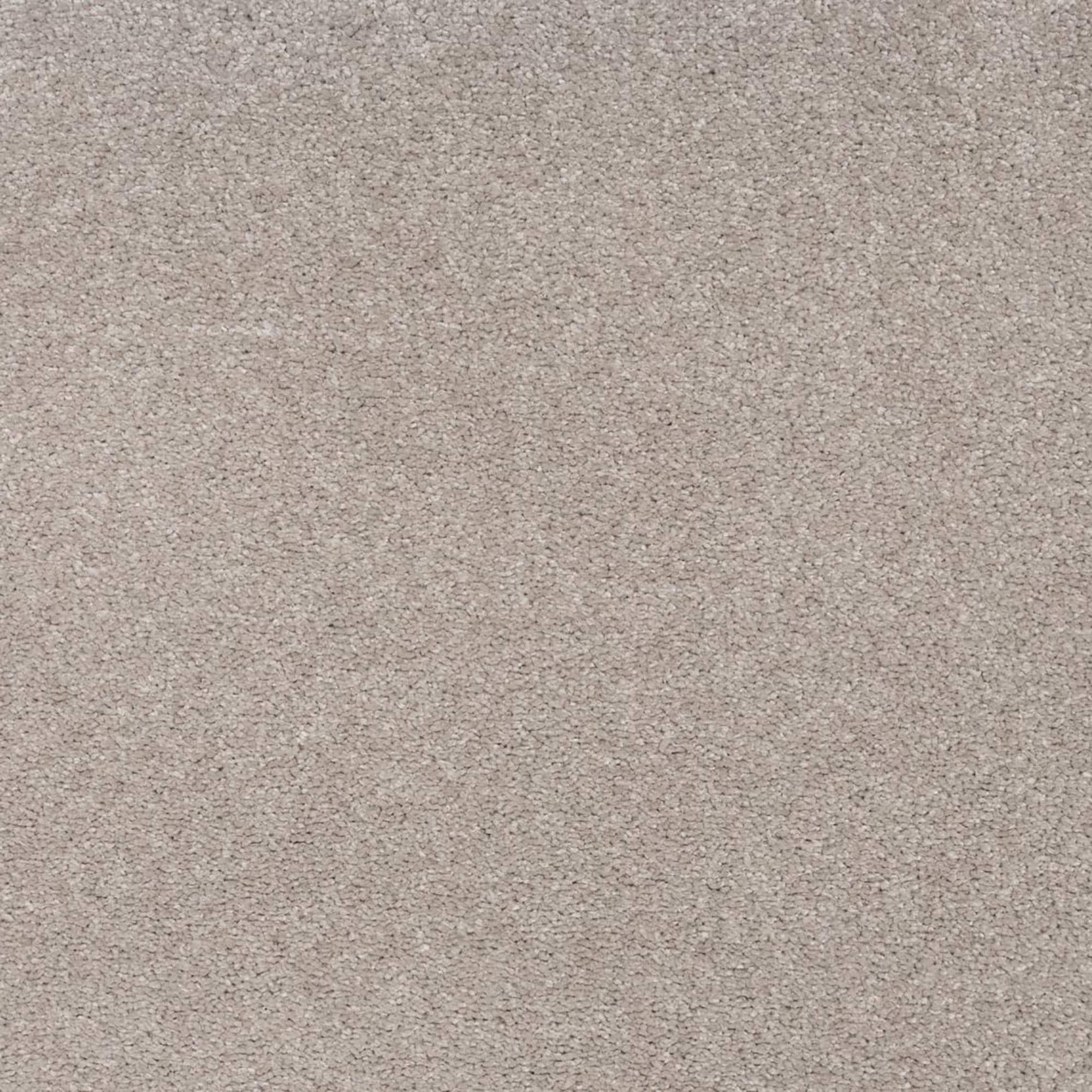 Karastan Sensational Allure Carpet in Dreams