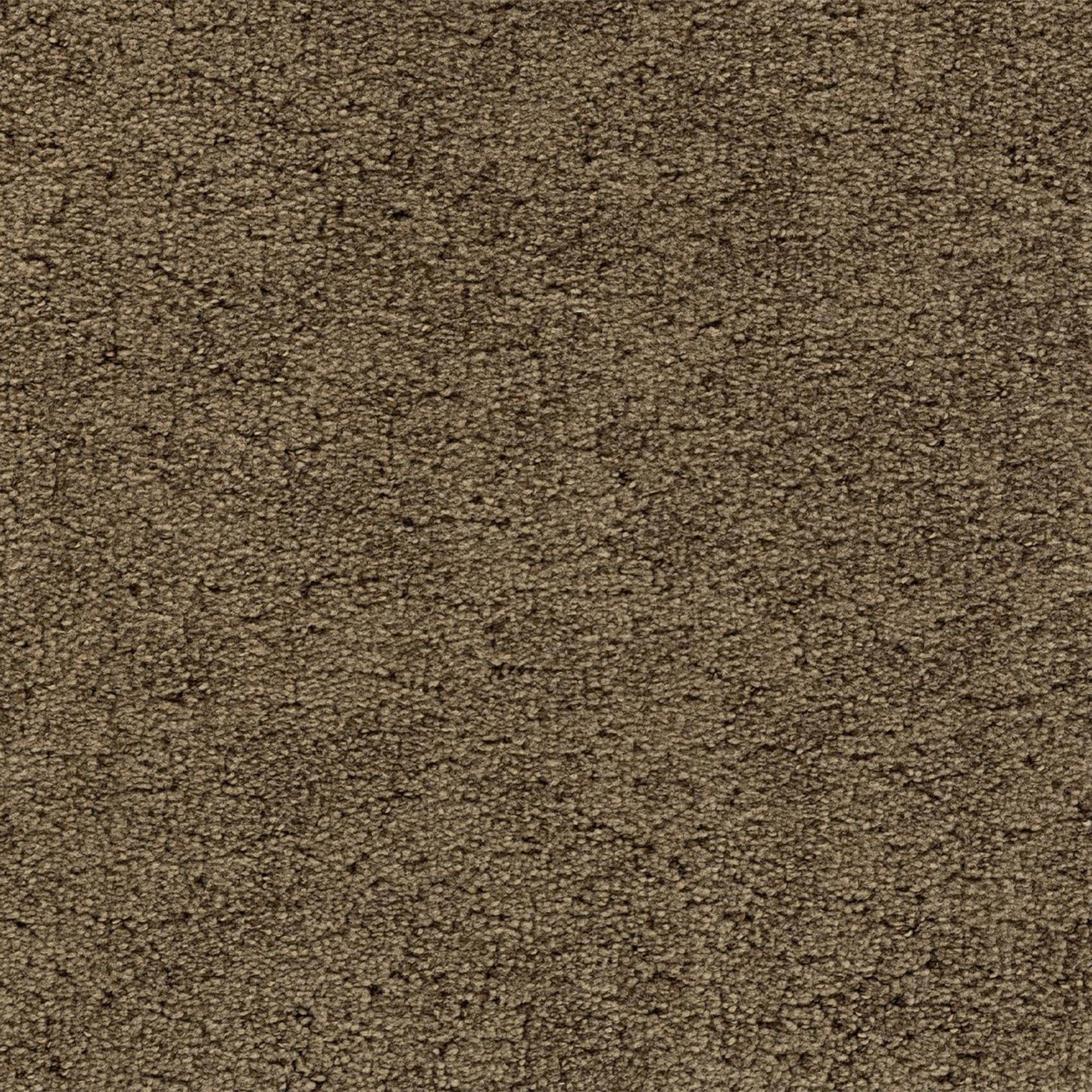 Godfrey-Hirst Inspiring Selection Carpet in Pottery