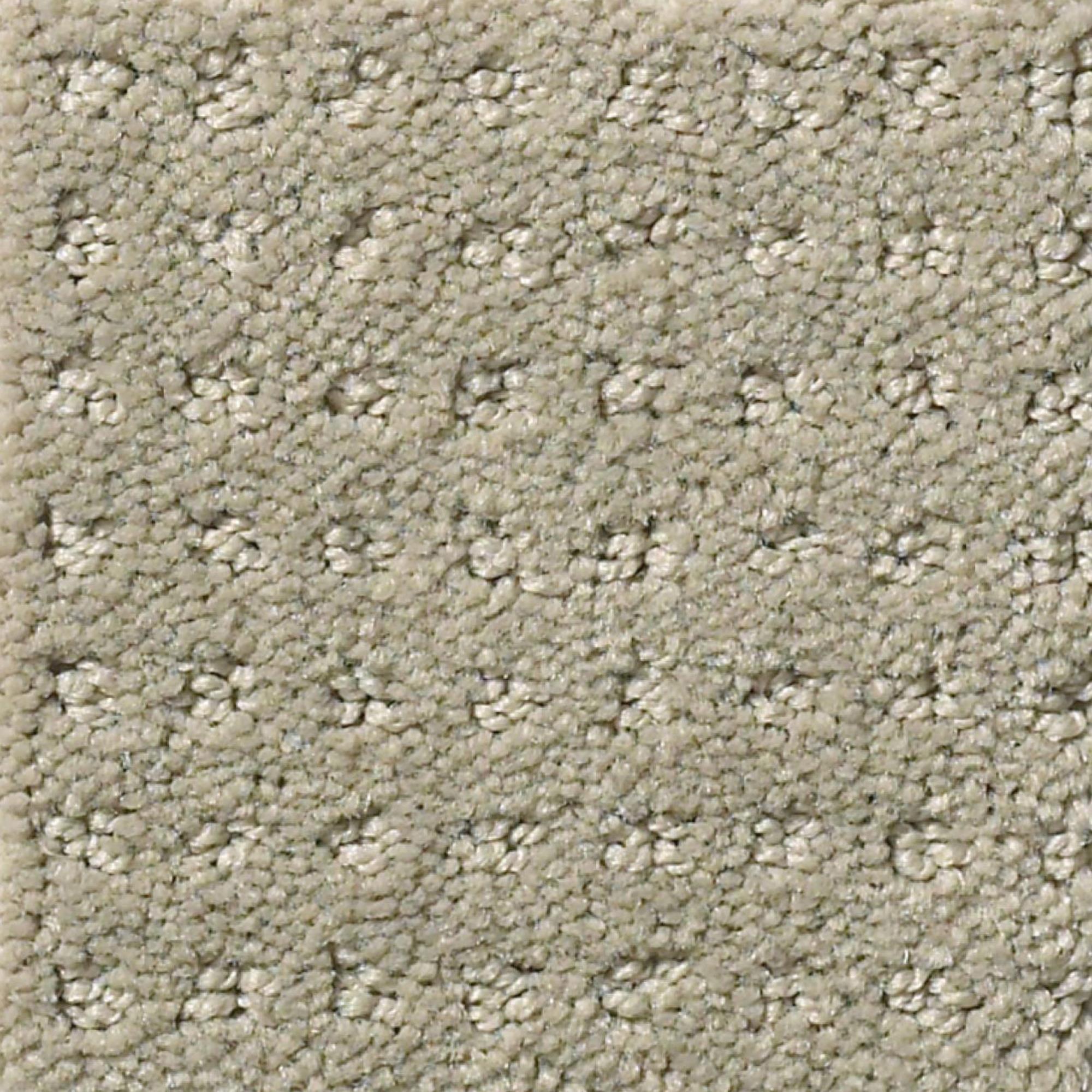 Shaw Detailed Elegance Patterned Carpet in Ash