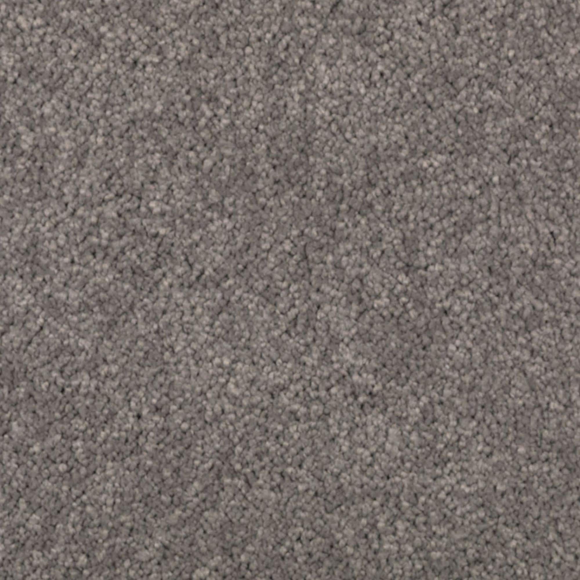 Mohawk Windsor Gardens II Carpet in Evening Shadow