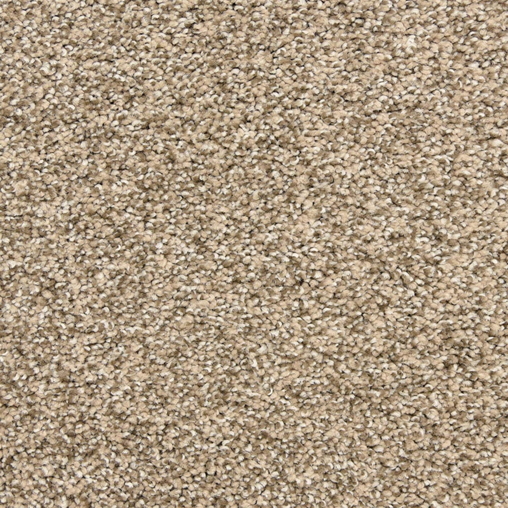 Dixie Home Natural Beauty Carpet in Barnwood