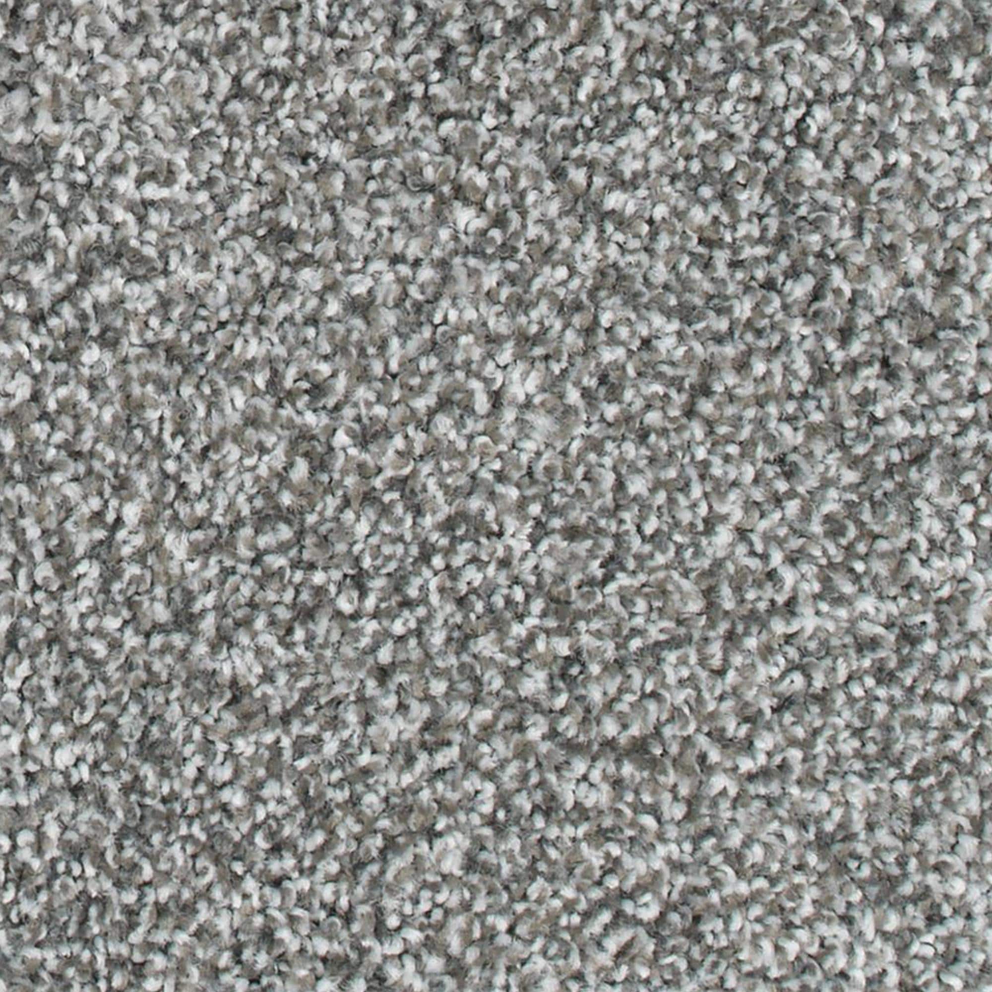Karastan Fascinating Allure Carpet in Stone Path