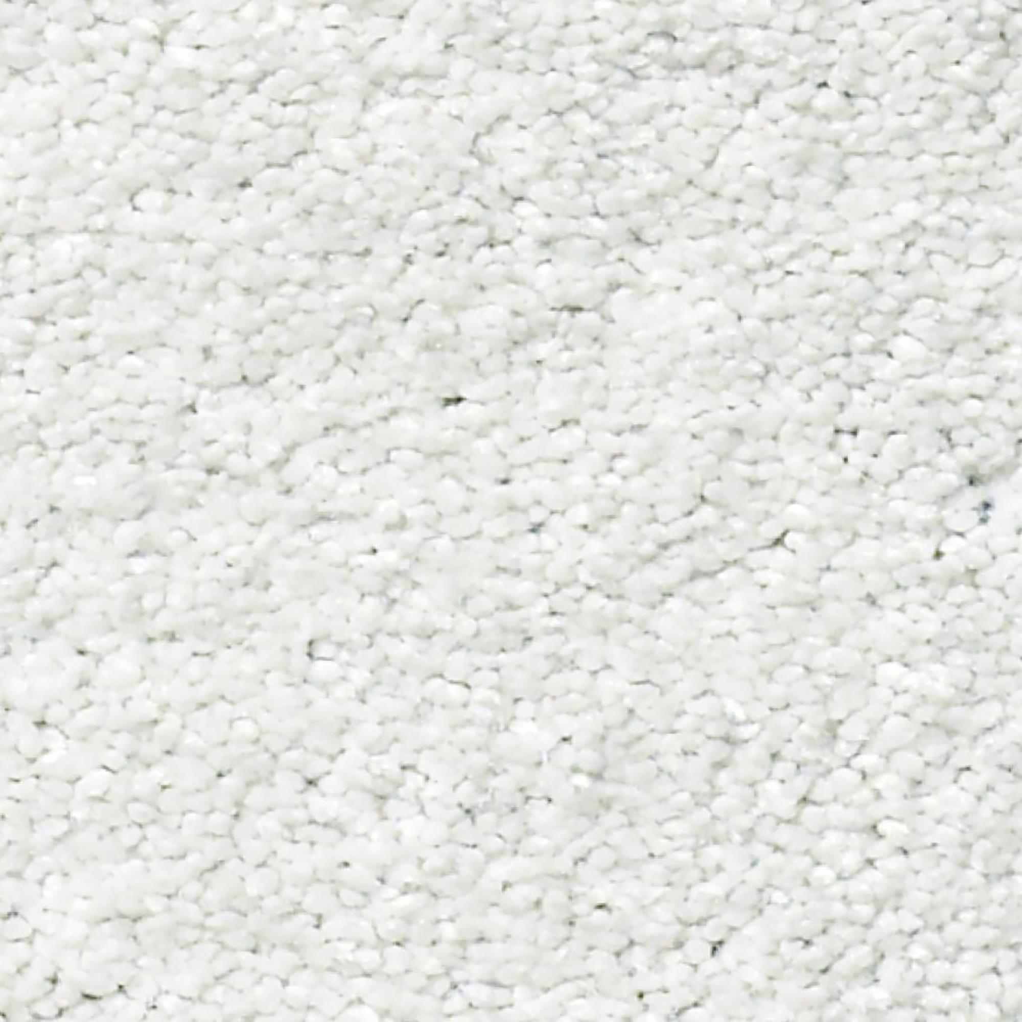 Shaw Find Your Comfort NS Blue Carpet in Coming Home | NFM