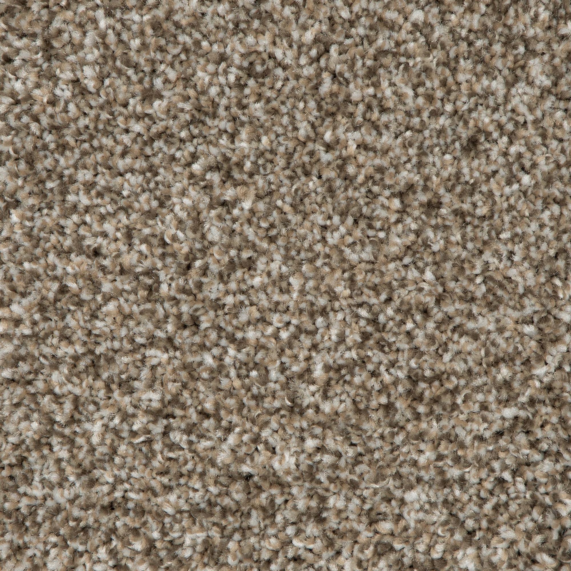 Mohawk Refreshing Shades Carpet in Vision