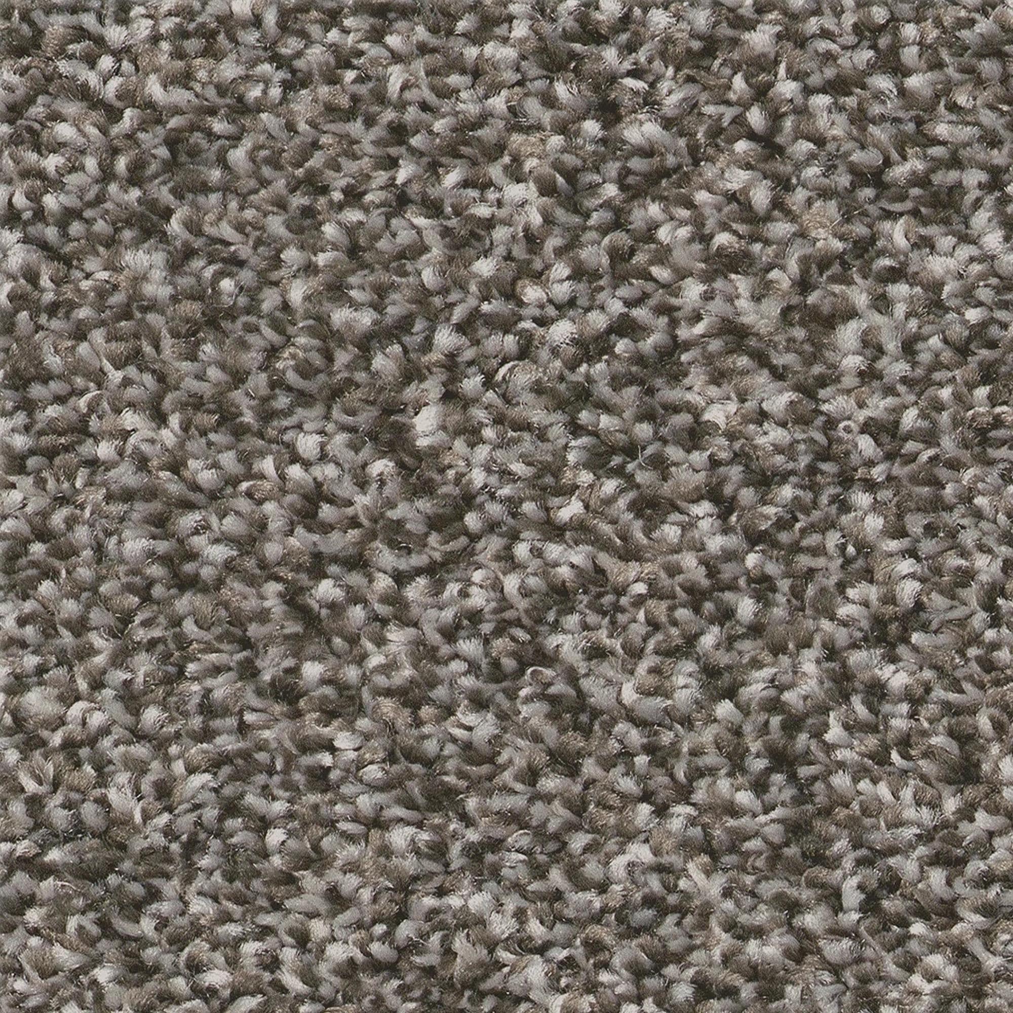Shaw New Attitude Carpet in Castle Wall