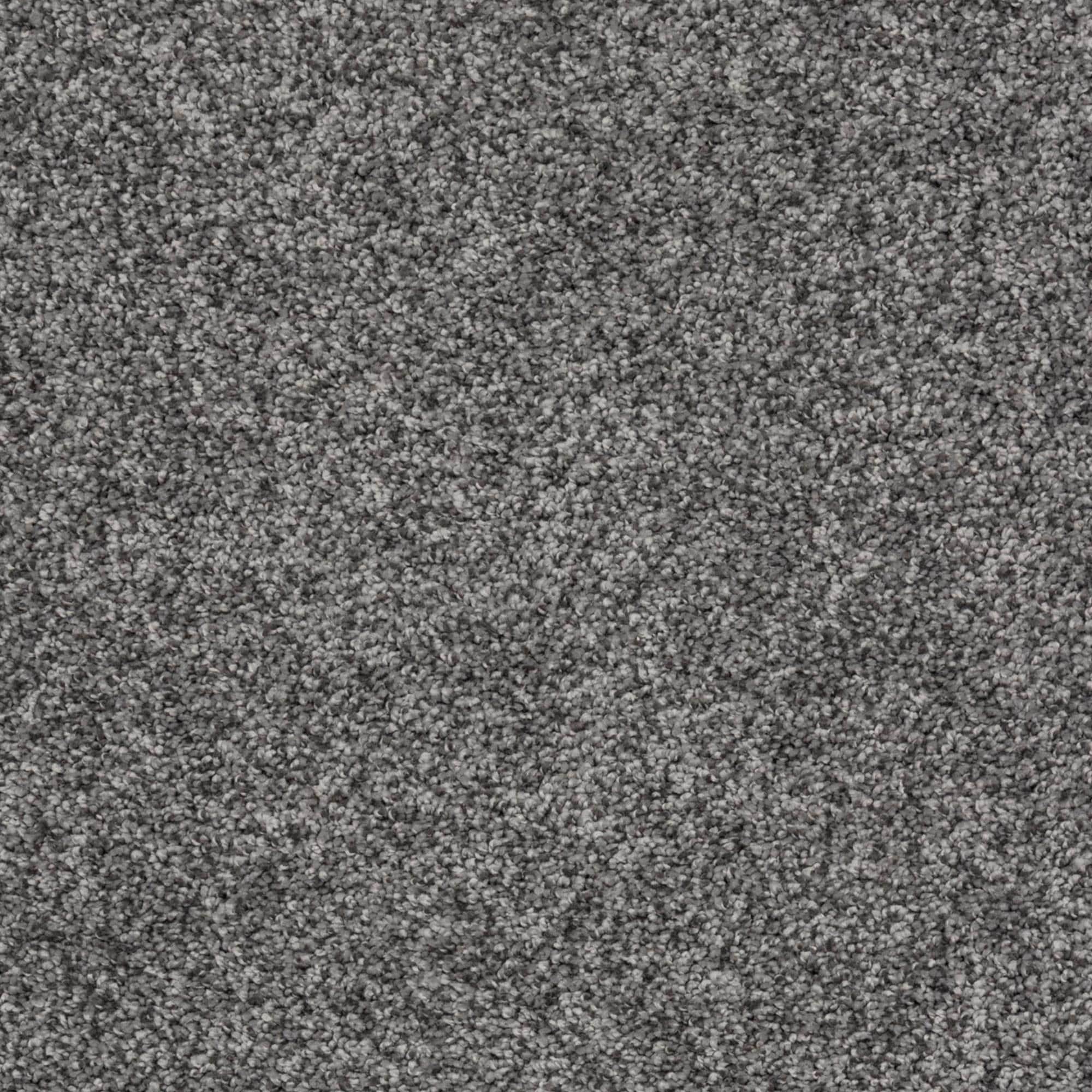 Mohawk Soft Direction III Carpet in Distant Thunder