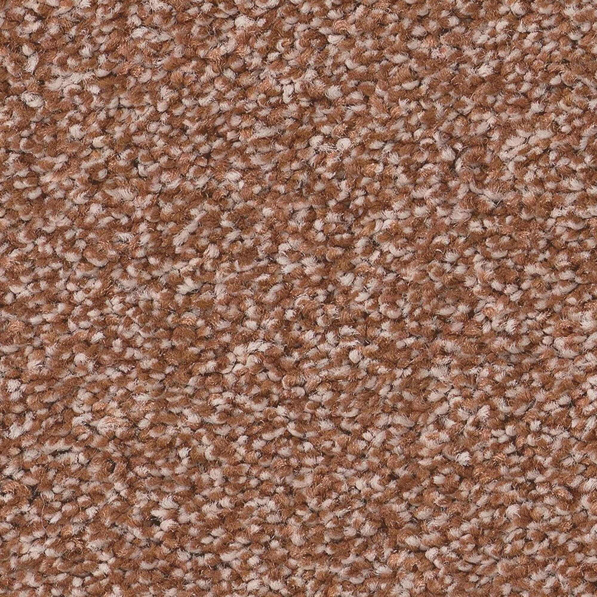 Anderson Tuftex Cypress Falls Carpet in Sunset