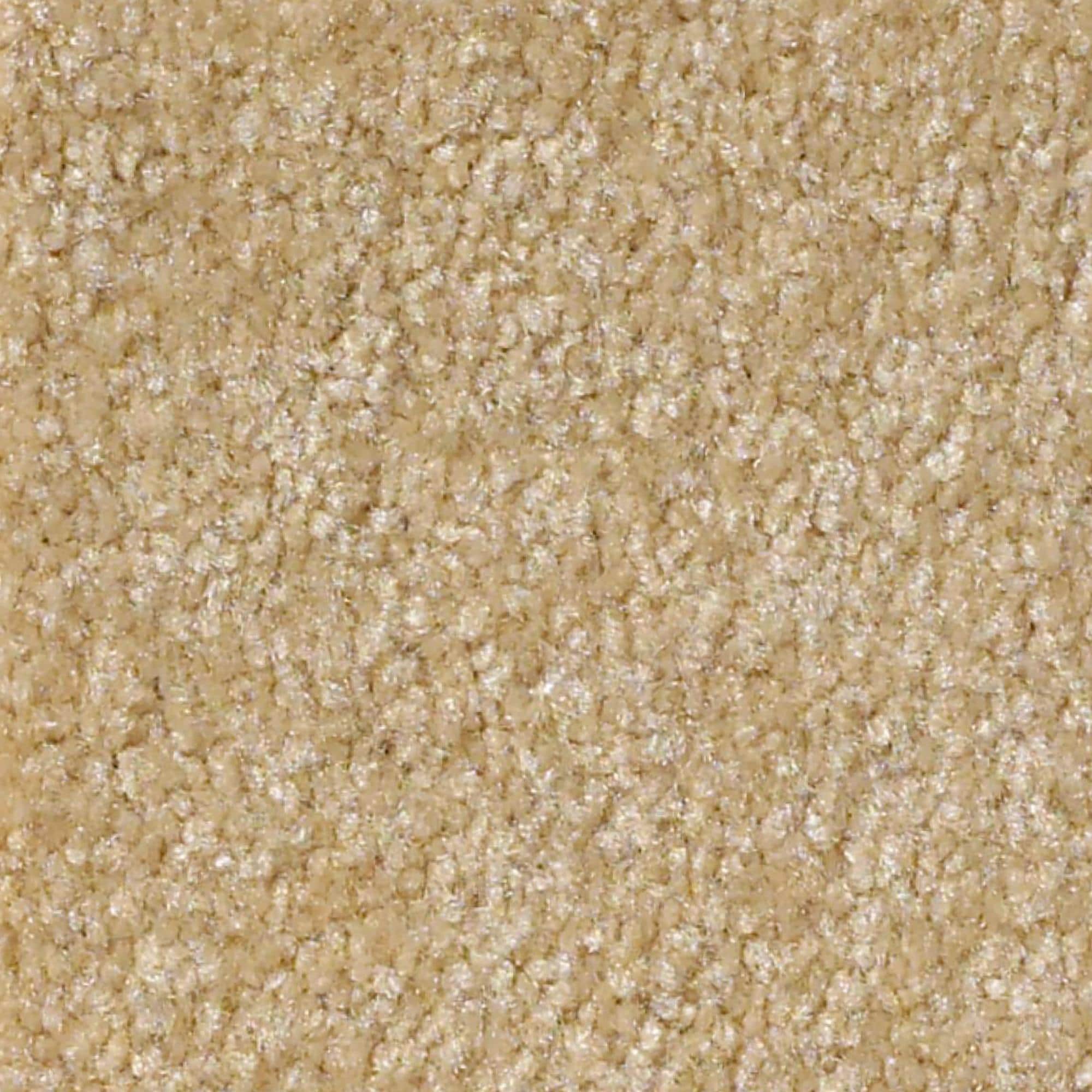 Shaw Luxuriant Carpet in Antique Parchment
