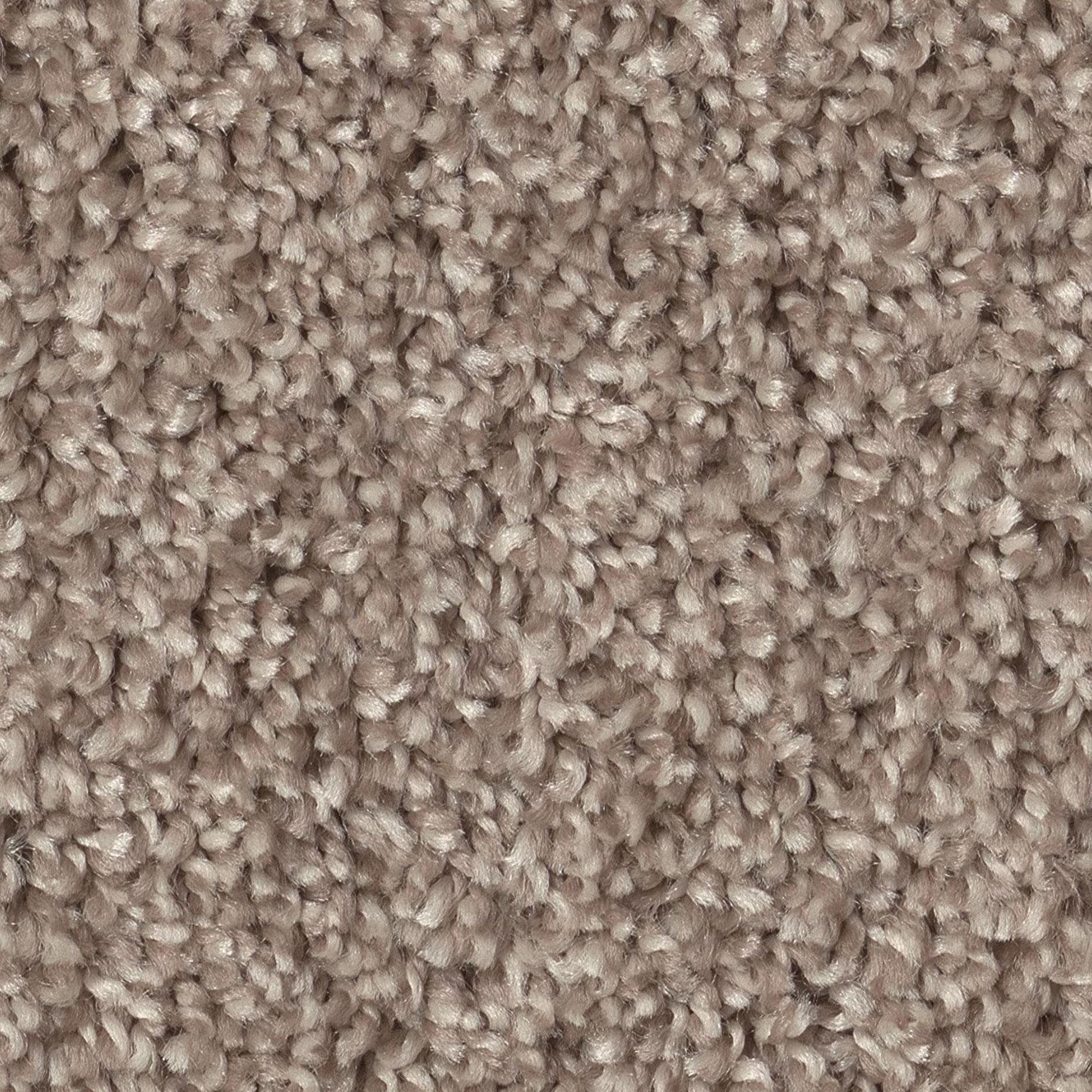 Shaw Agility Carpet in Biscotti