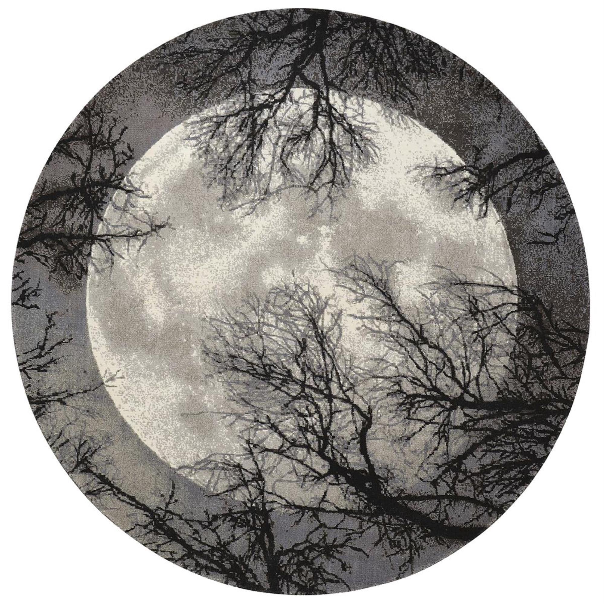 Nourison Twilight TWI17 8' Round Moon Area Rug | Nebraska Furniture Mart