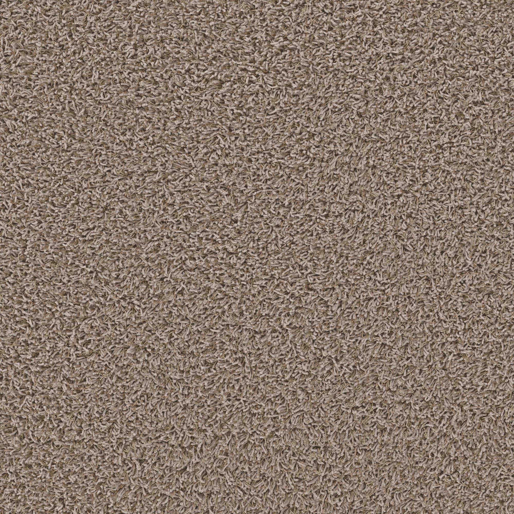 Anderson Tuftex Hello Beautiful Carpet in Versatile | NFM