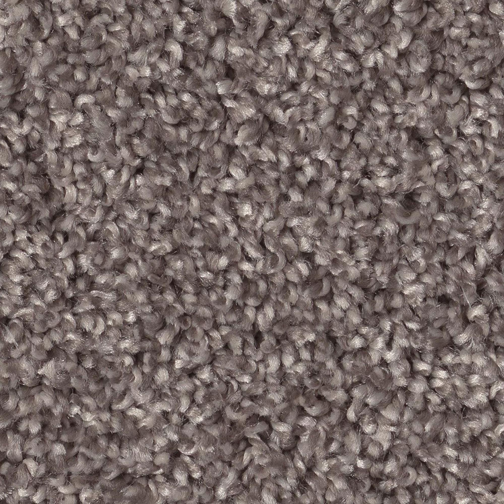 Shaw Agility Carpet in Hammerhead