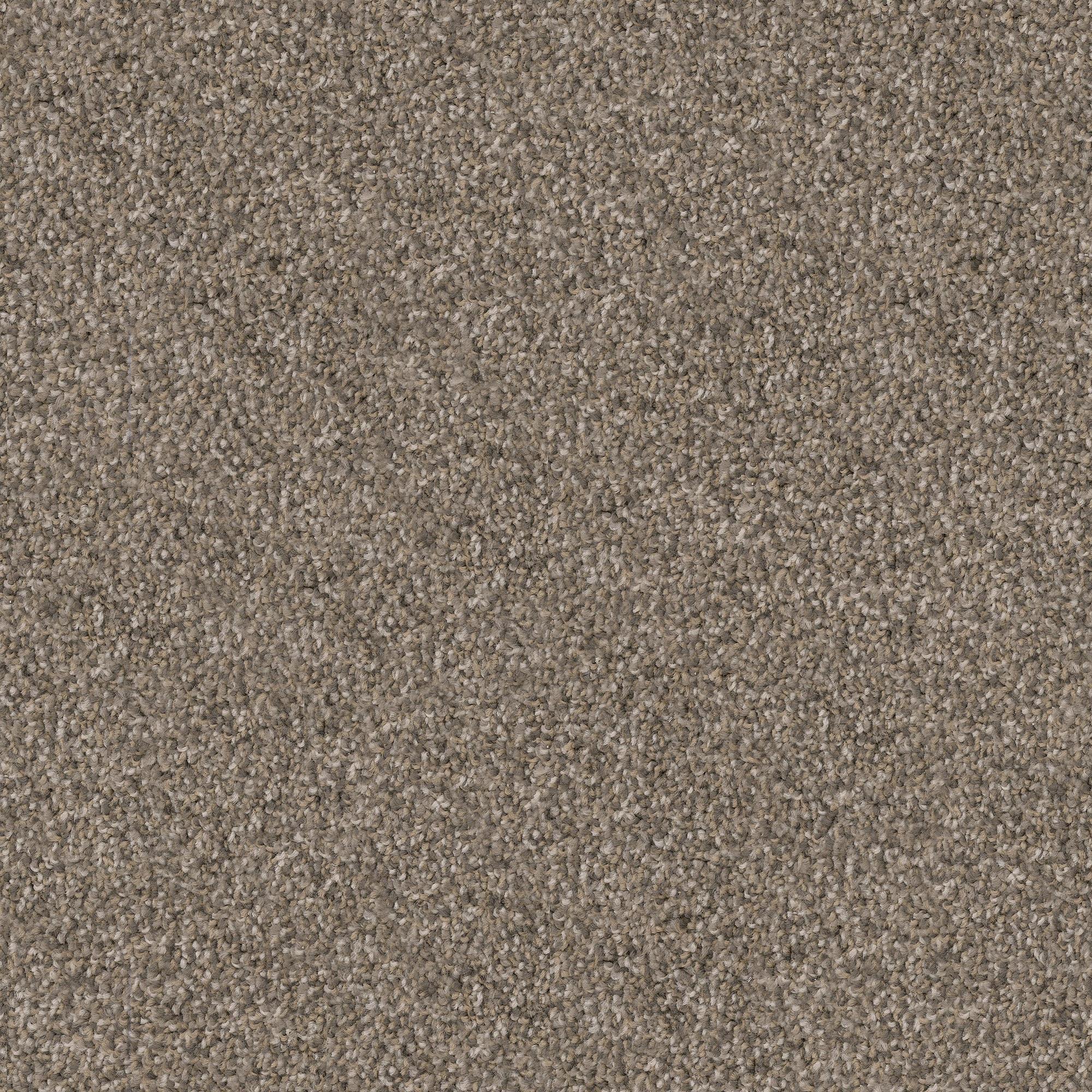 Dixie Home Herder Carpet in Greyhound