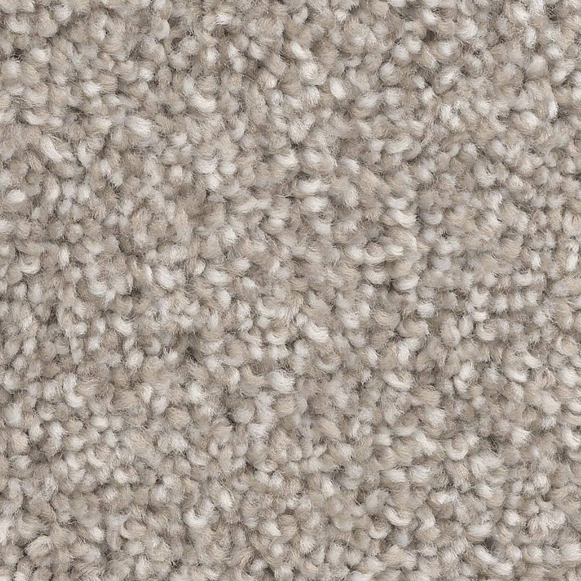 Dixie Home Dx835 Carpet in Dune