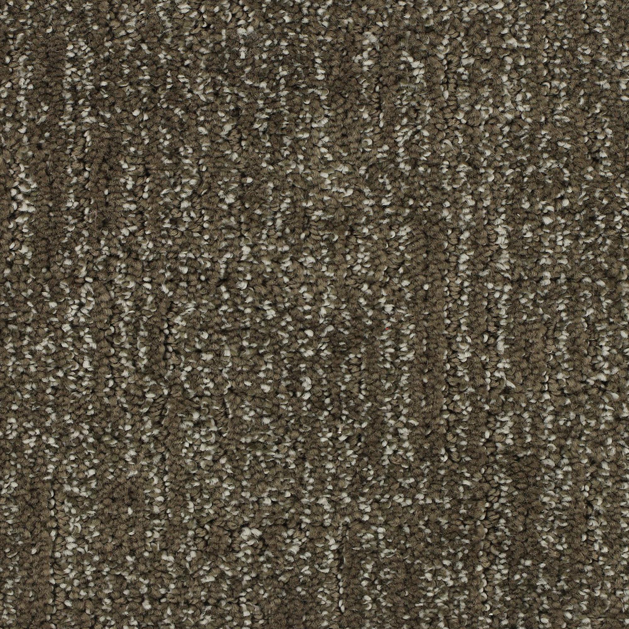 Mohawk Natural Texture Carpet in Sequoia