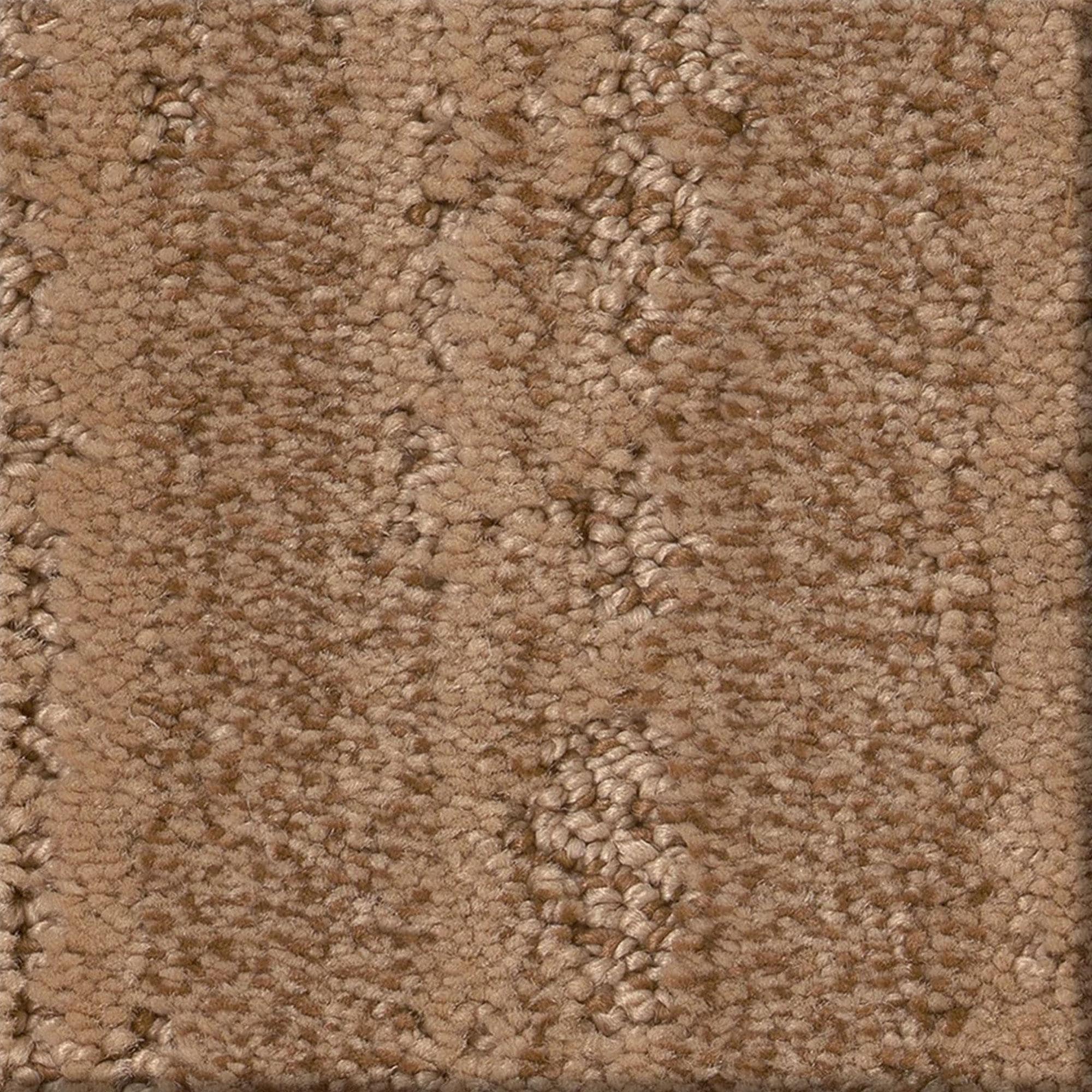 Anderson Tuftex Trace Carpet in Terra Cotta