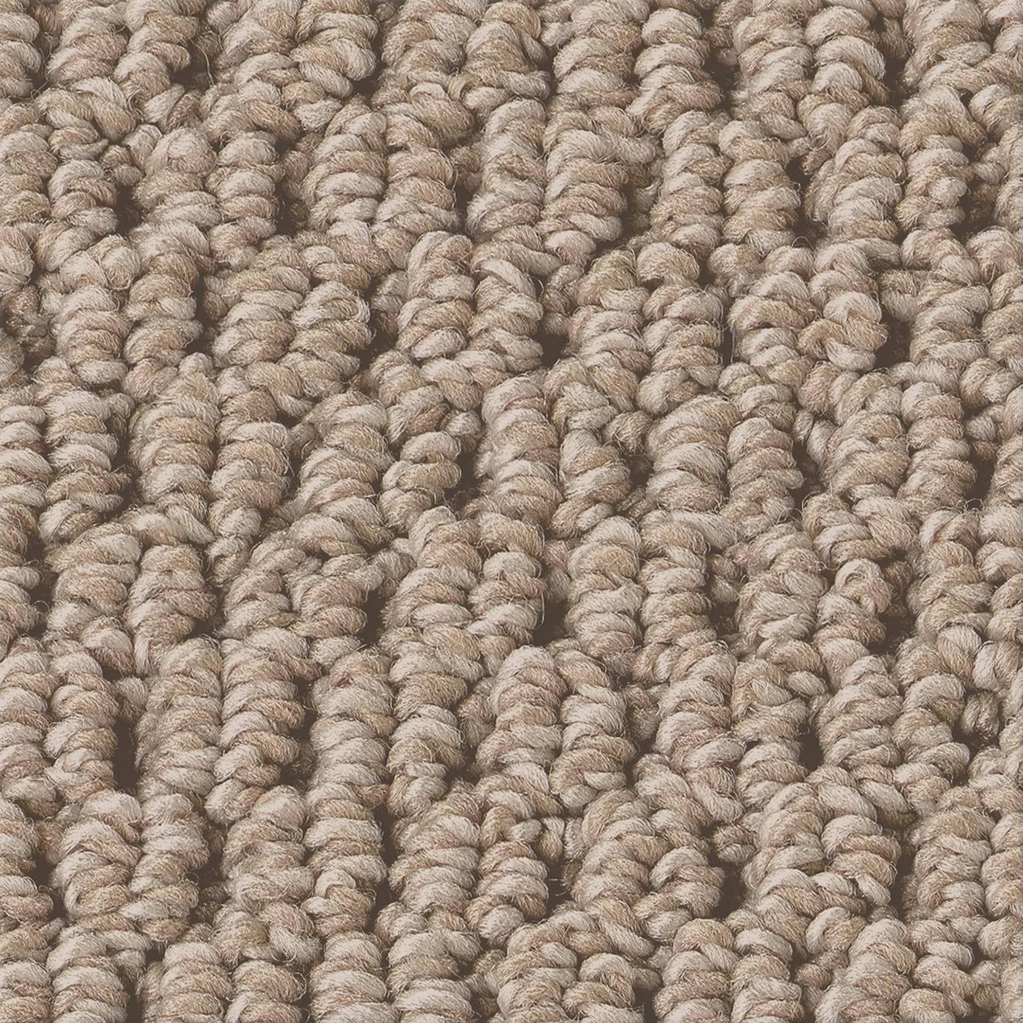 Shaw Perspective Path Carpet in Worn Path