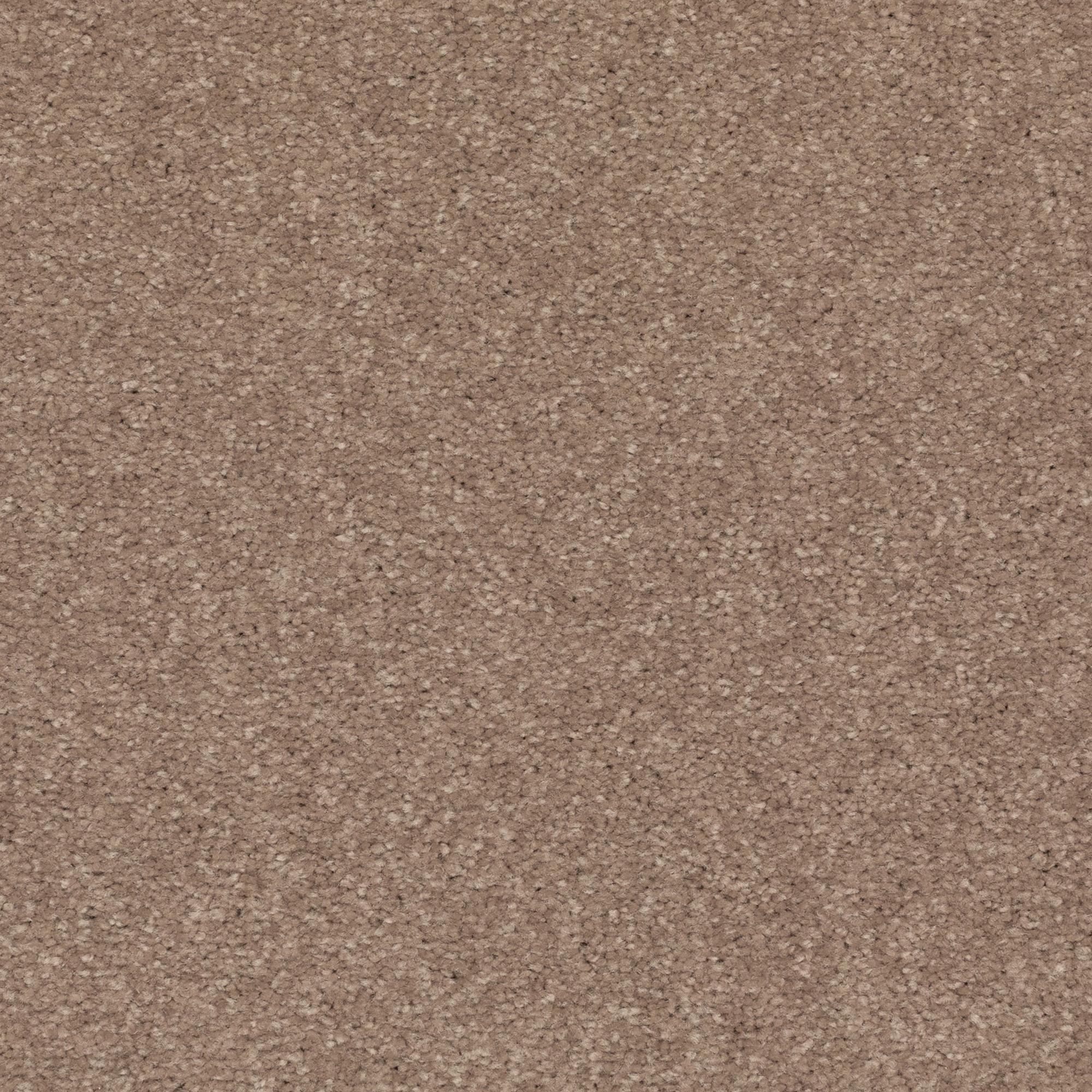 Mohawk Quality Feeling Carpet in Timeless | NFM