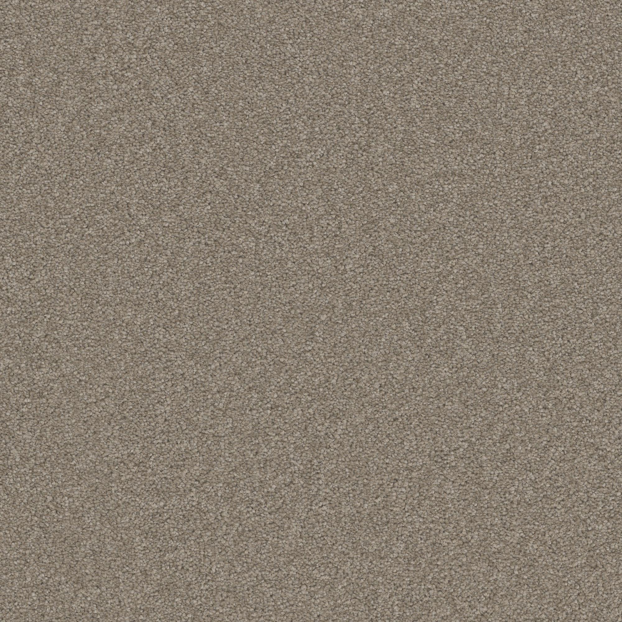 Phenix Carpet Ethereal Carpet in Pleasing | Shop NFM