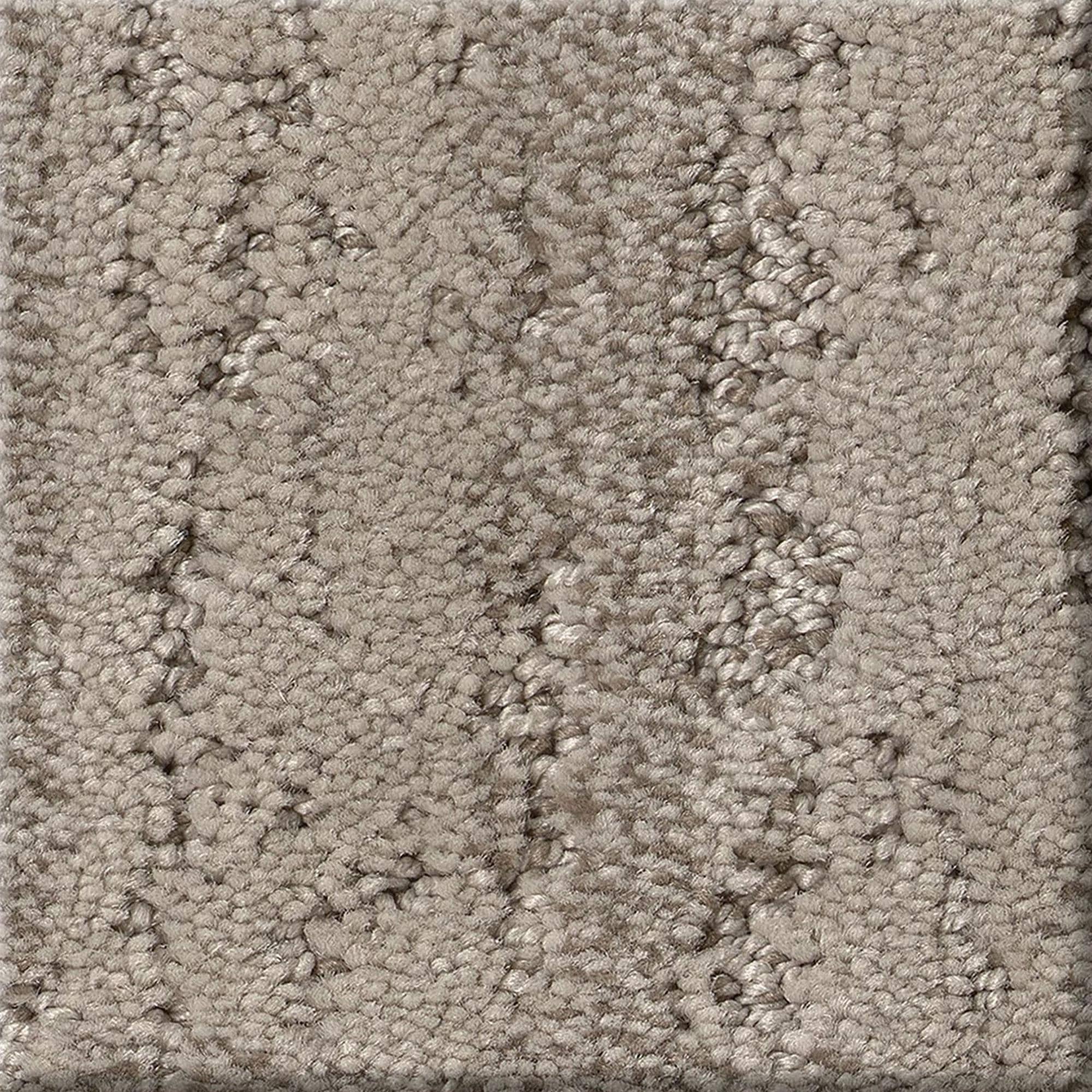Anderson Tuftex Trace Carpet in Twine