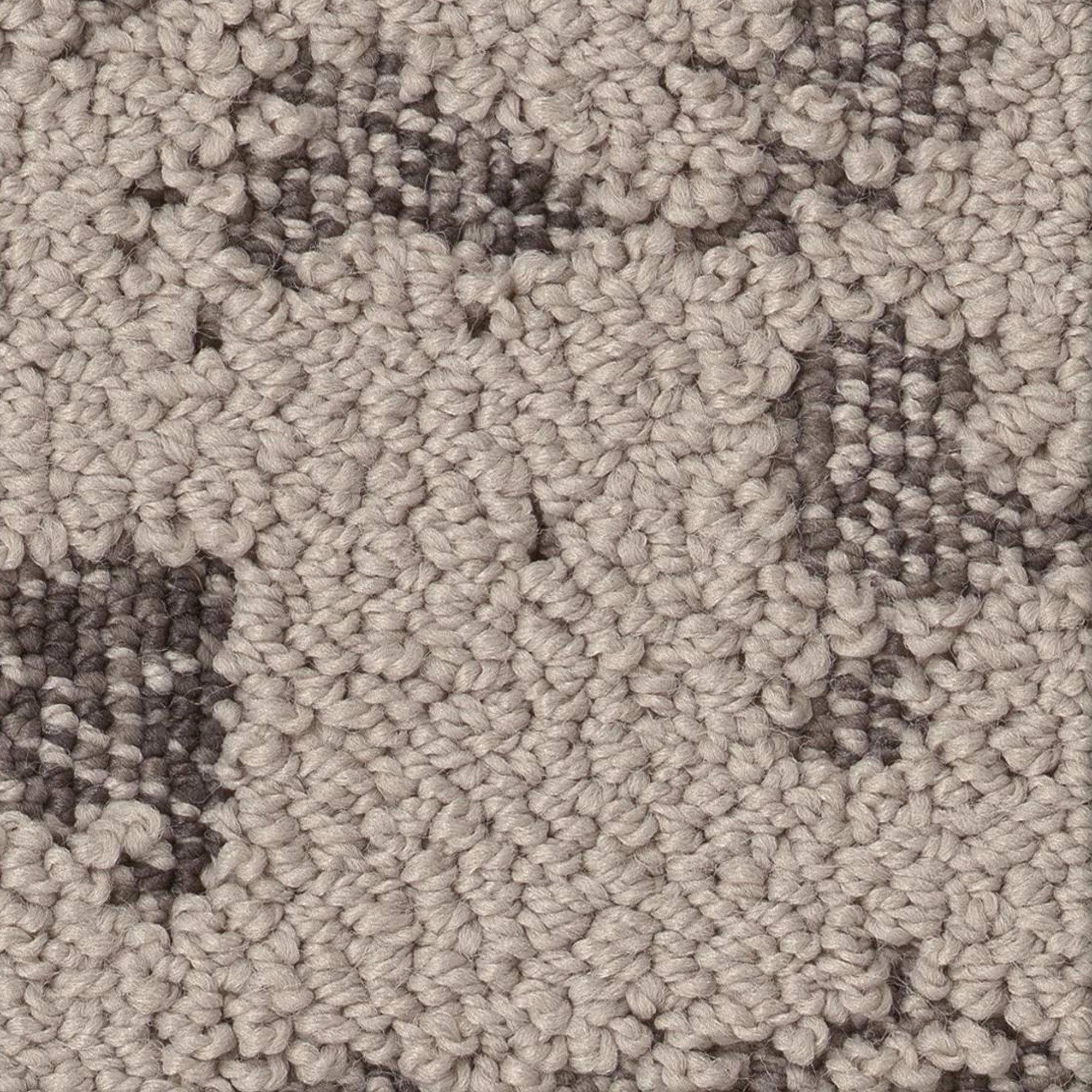 Anderson Tuftex Discover Carpet in Mocha