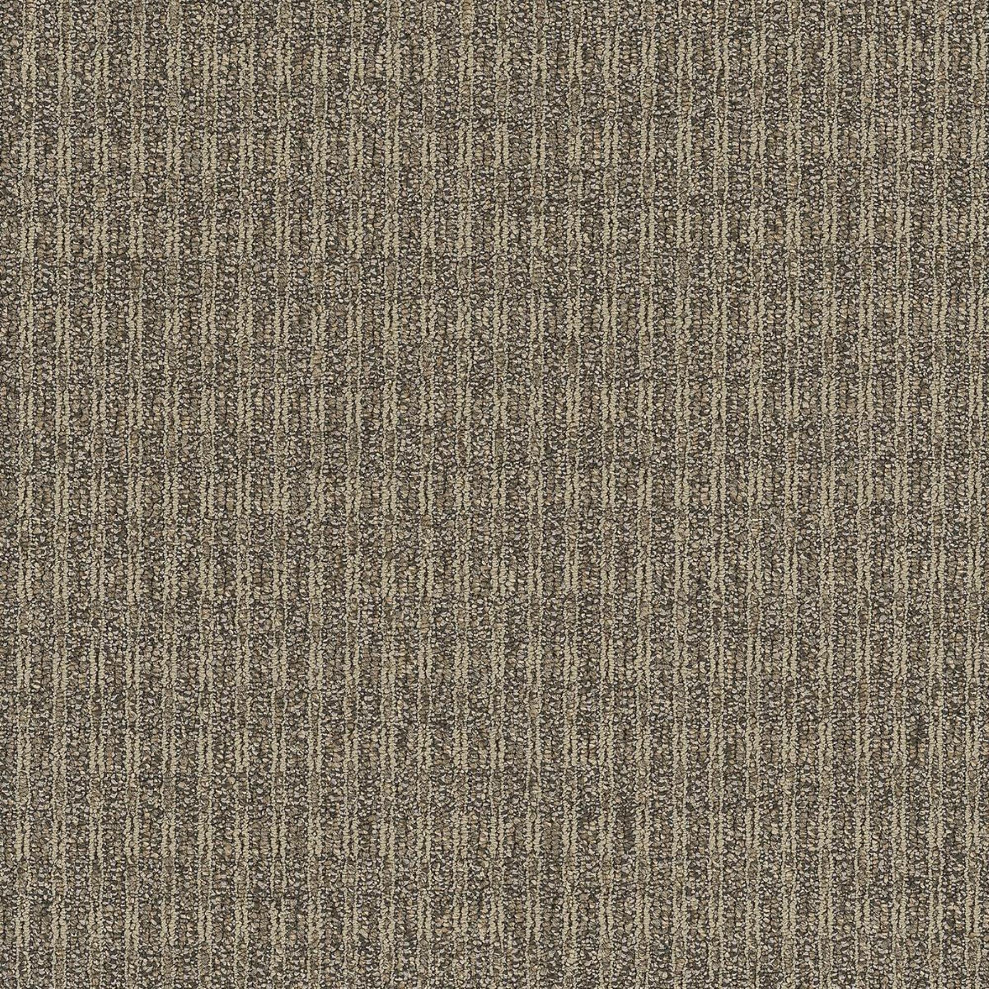 Shaw Fair Shake Carpet in Integrity