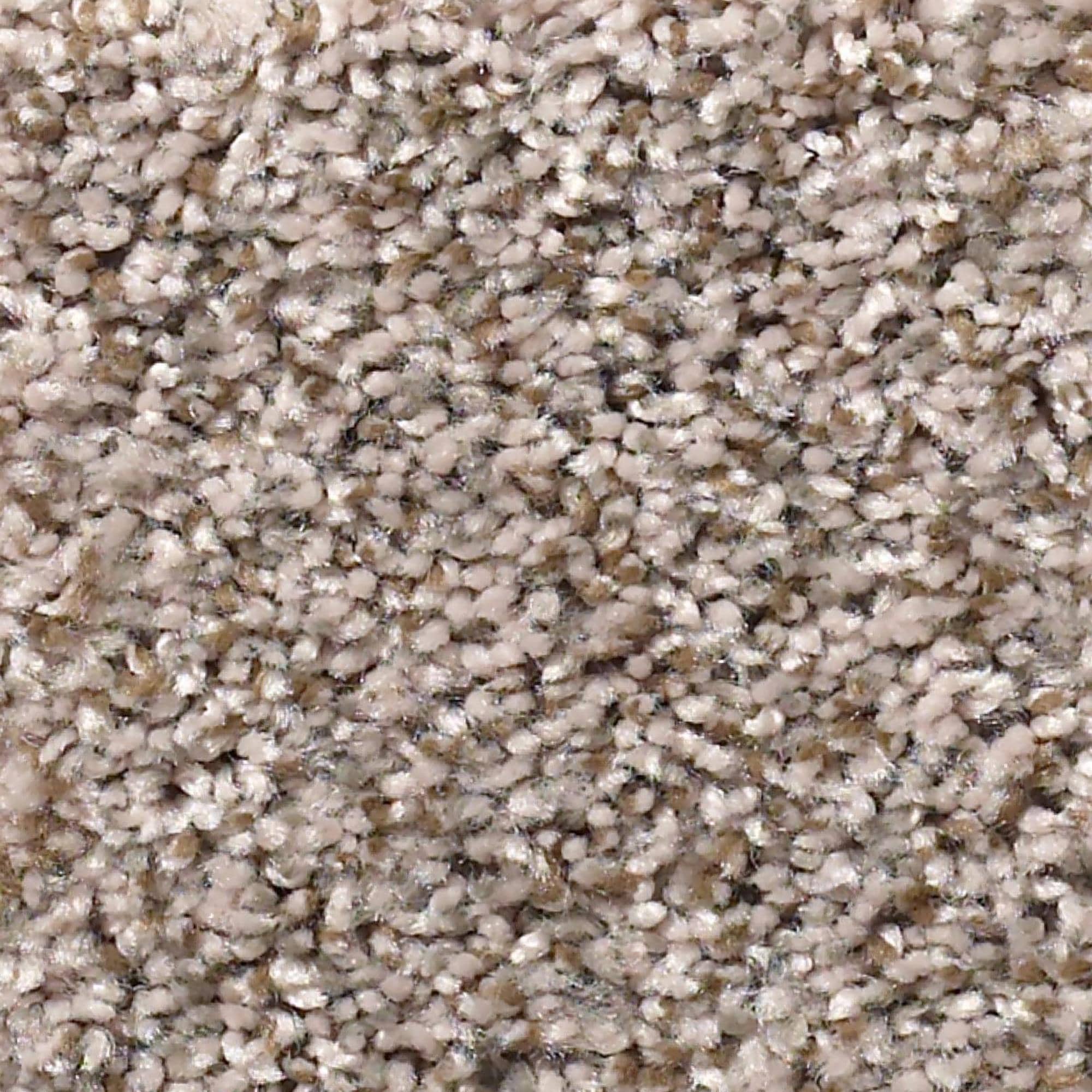 Shaw Cabana Bay (B) Carpet in Summer Wind