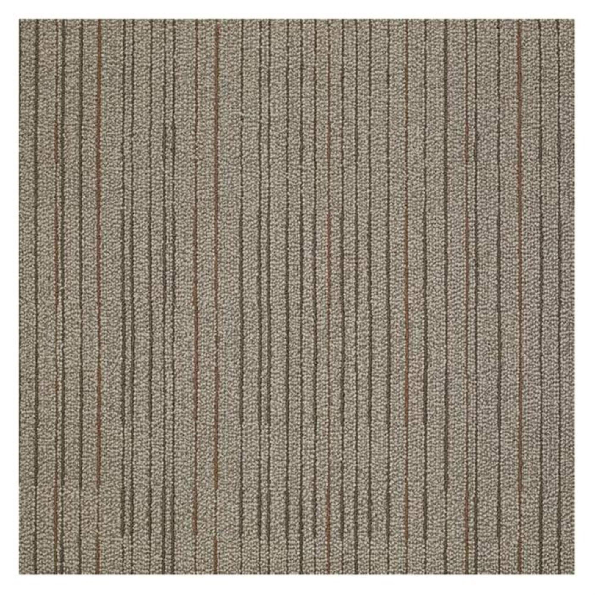 Shaw Immerse 24" x 24" Carpet Tile in Consume