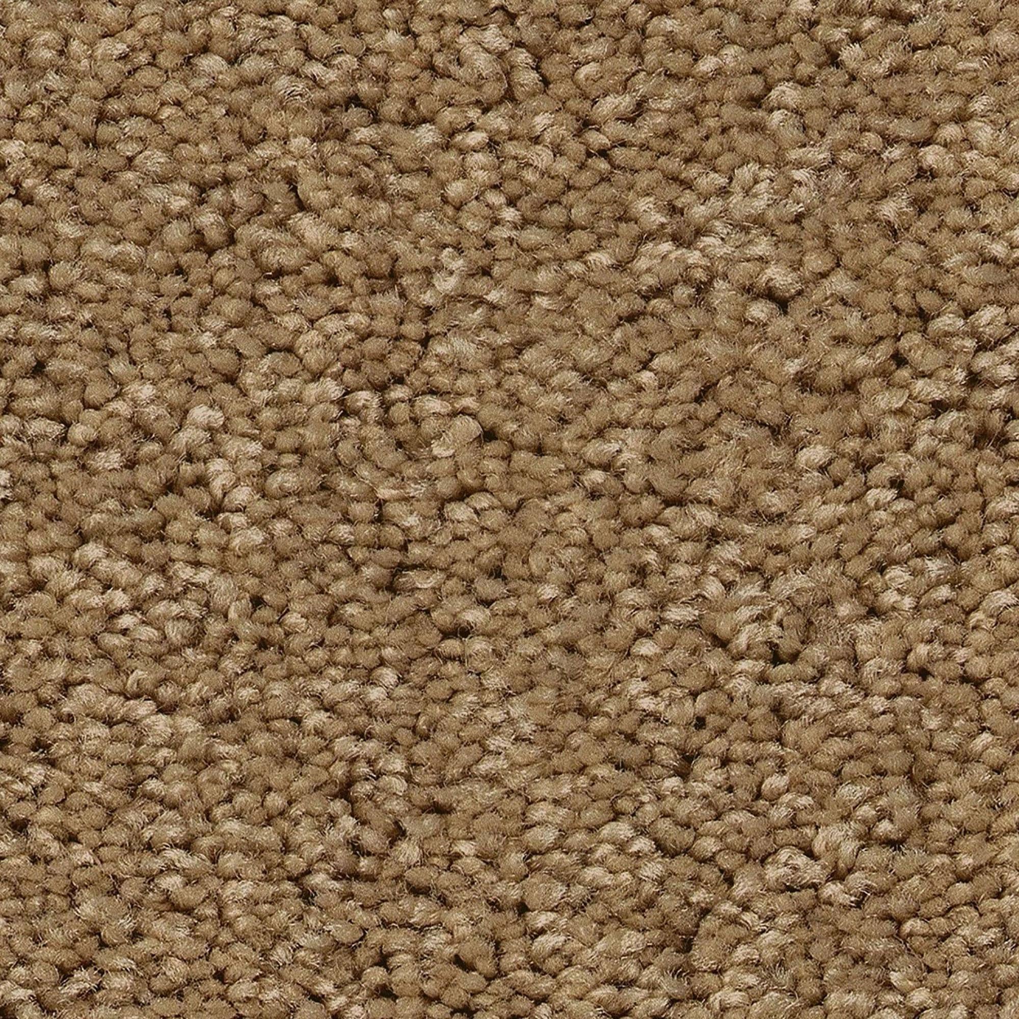 Shaw Las Cruces Carpet in Radiance