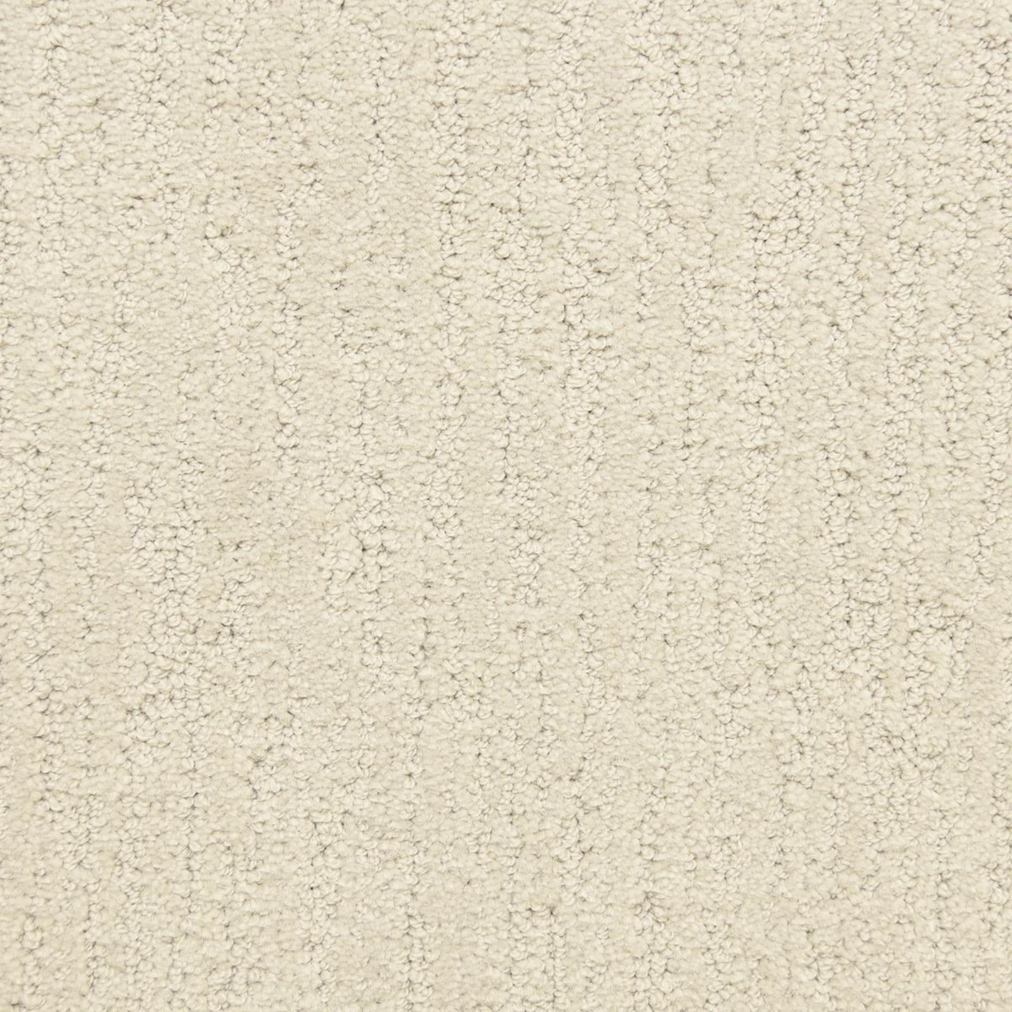 Dixie Home Legacy Carpet in Chrome