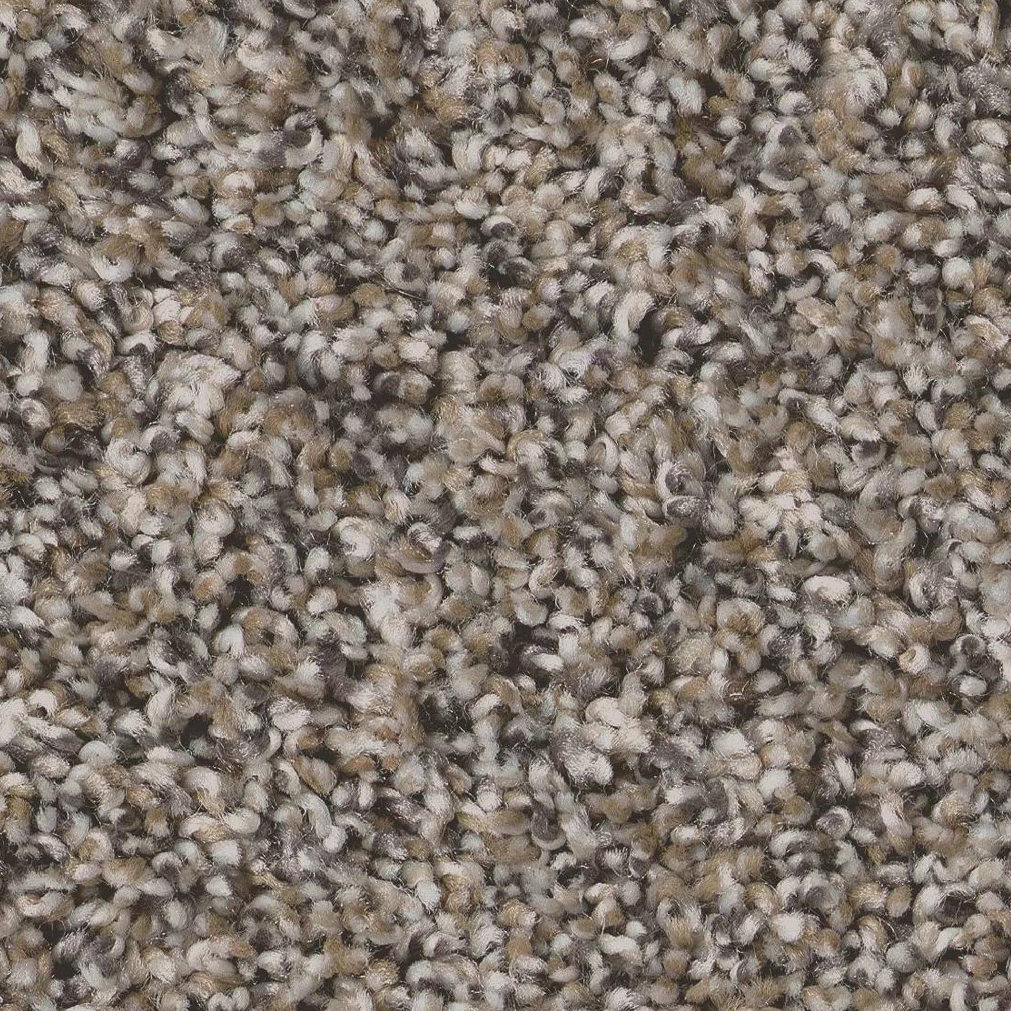 Shaw Remixed Classic Carpet in Cobble Drive