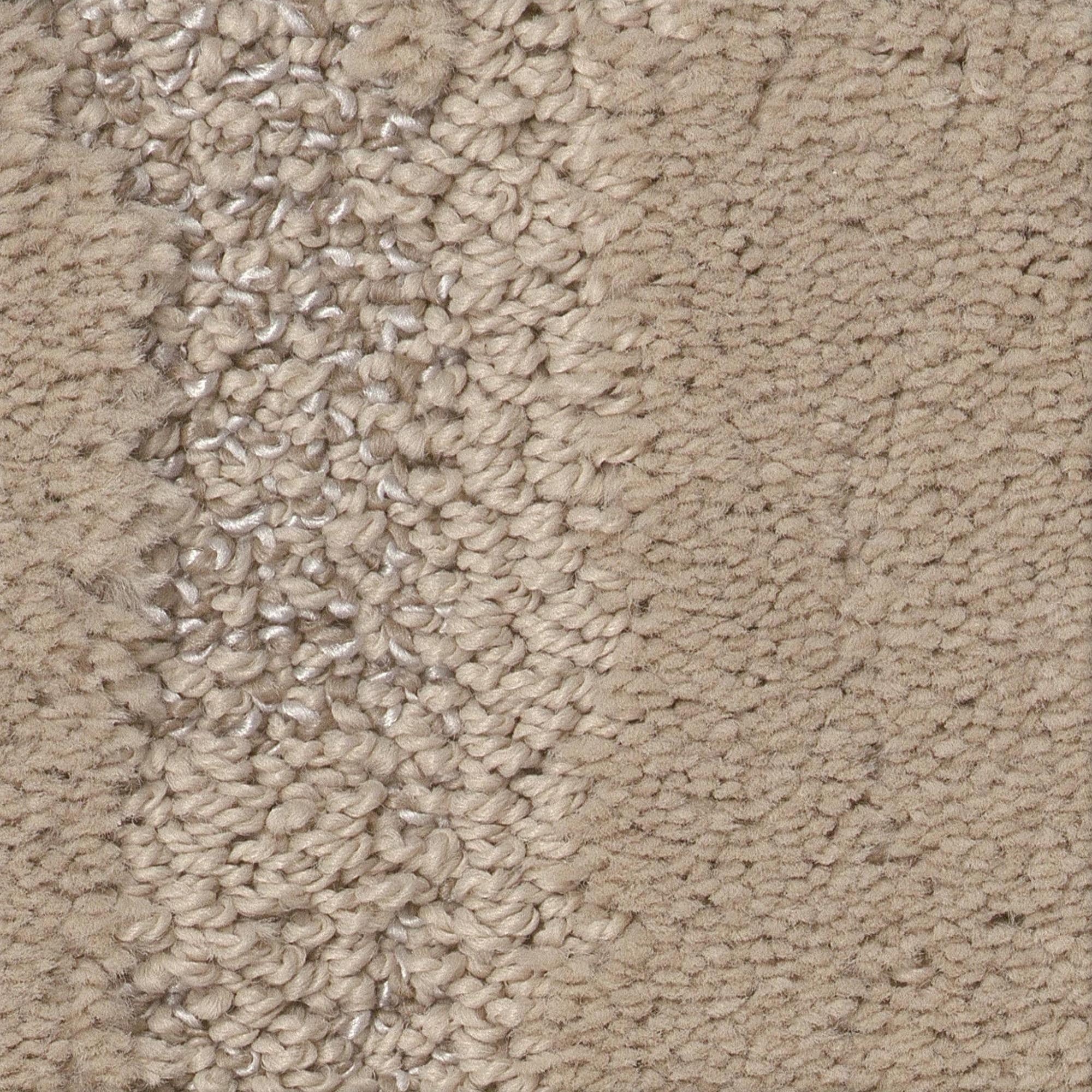 Shaw Tranquil Spirit Carpet in Worn Path