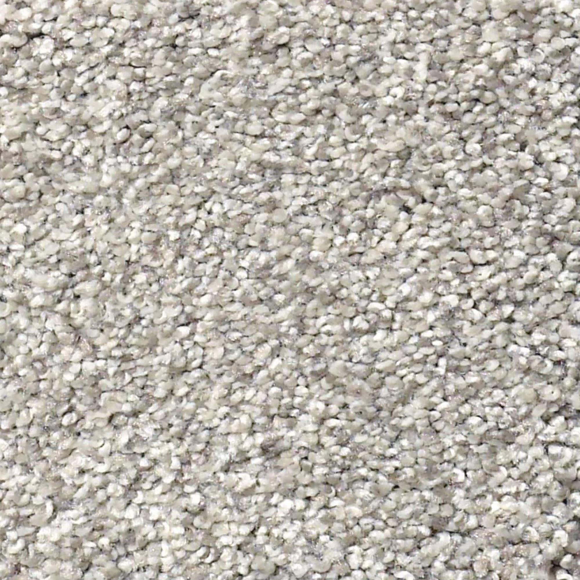 Shaw Tonal Comfort Blue Carpet in Restful Day