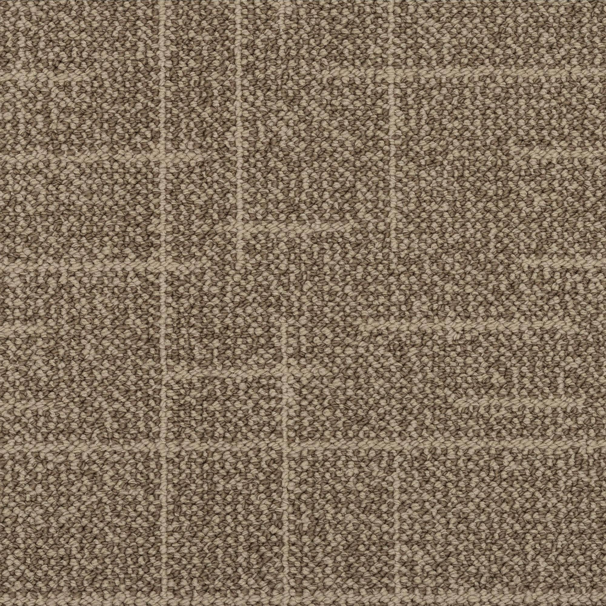 Mohawk Tessellation Carpet in Persuade