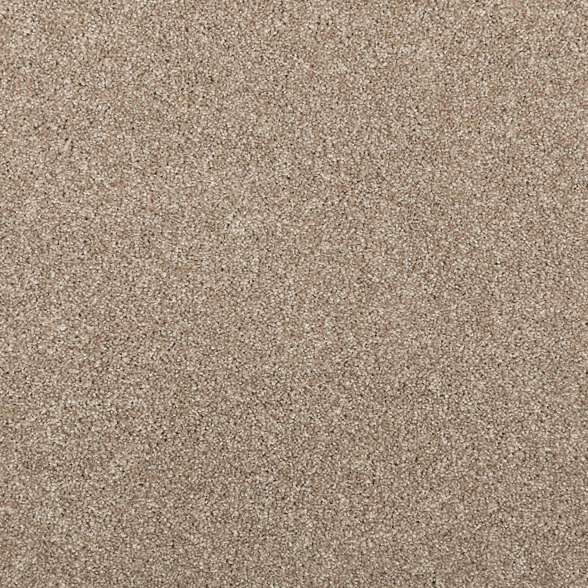 Mohawk Quality Feeling Carpet in Chalet