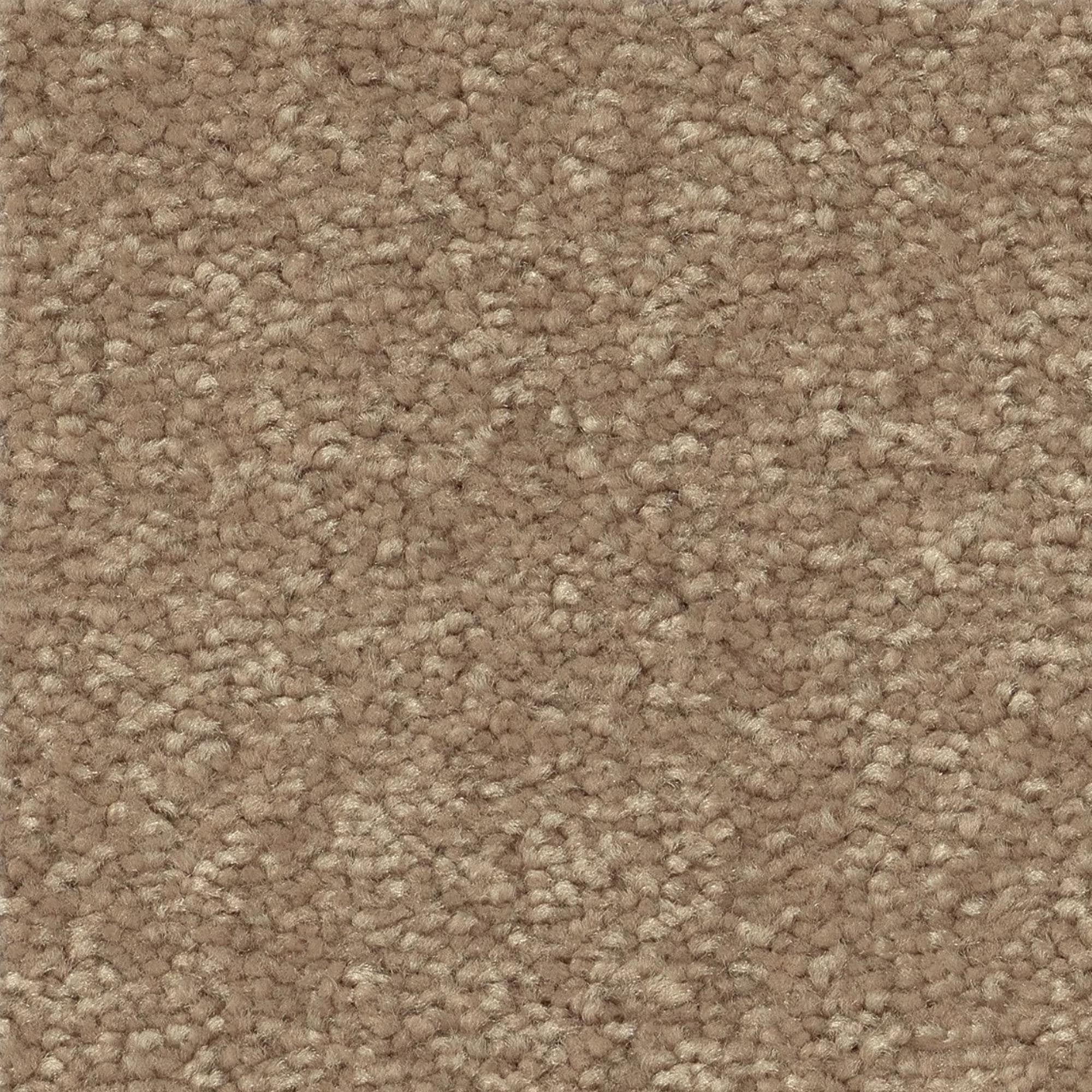 Shaw Easy Spirit II 12' Carpet in Stone House