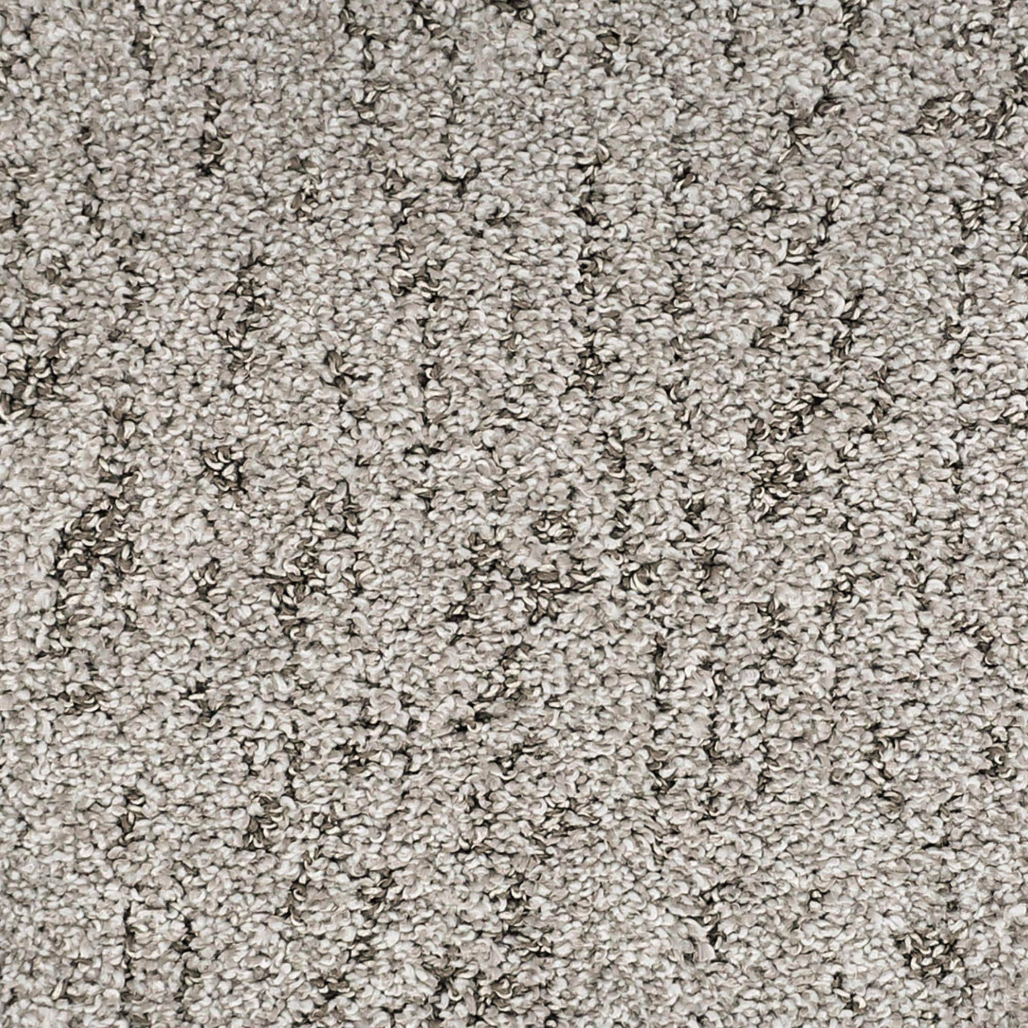 Mohawk Bark and Roll Carpet in Shadowed Earth