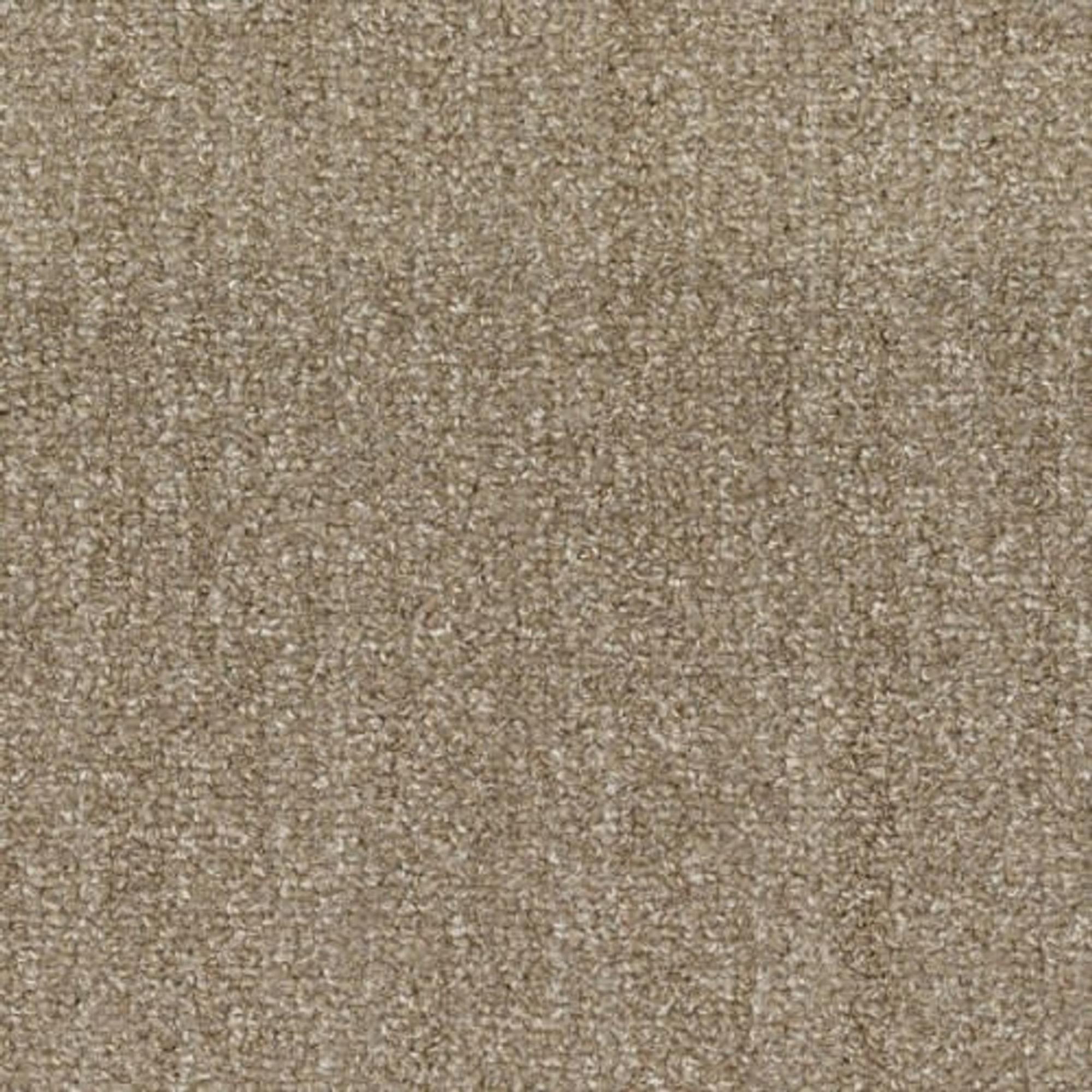 Fabrica Tundra Carpet in Shrubs
