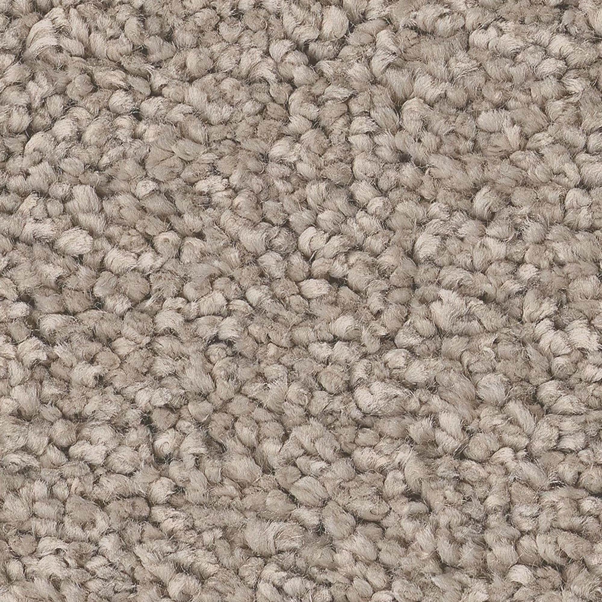 Shaw Posh Life Carpet in Chic Greige