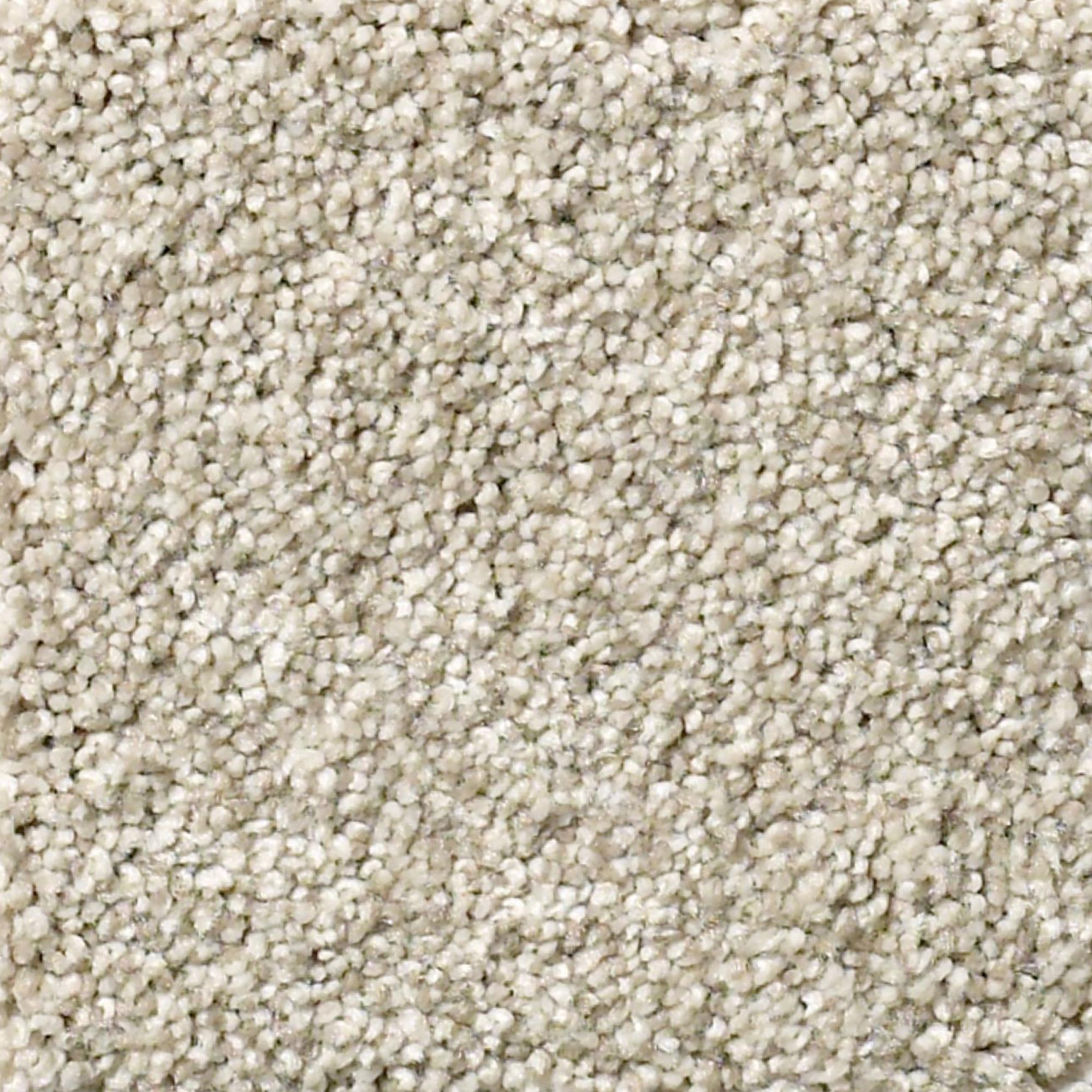 Shaw Find Your Comfort TT I Carpet in Sand Castle | Shop NFM